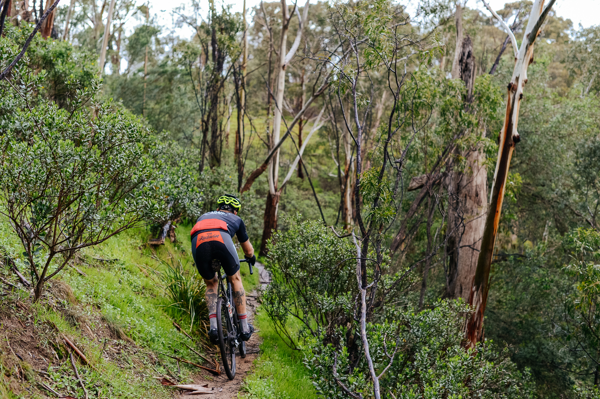 The Radavist Redback Kit | The Radavist | A group of individuals who ...