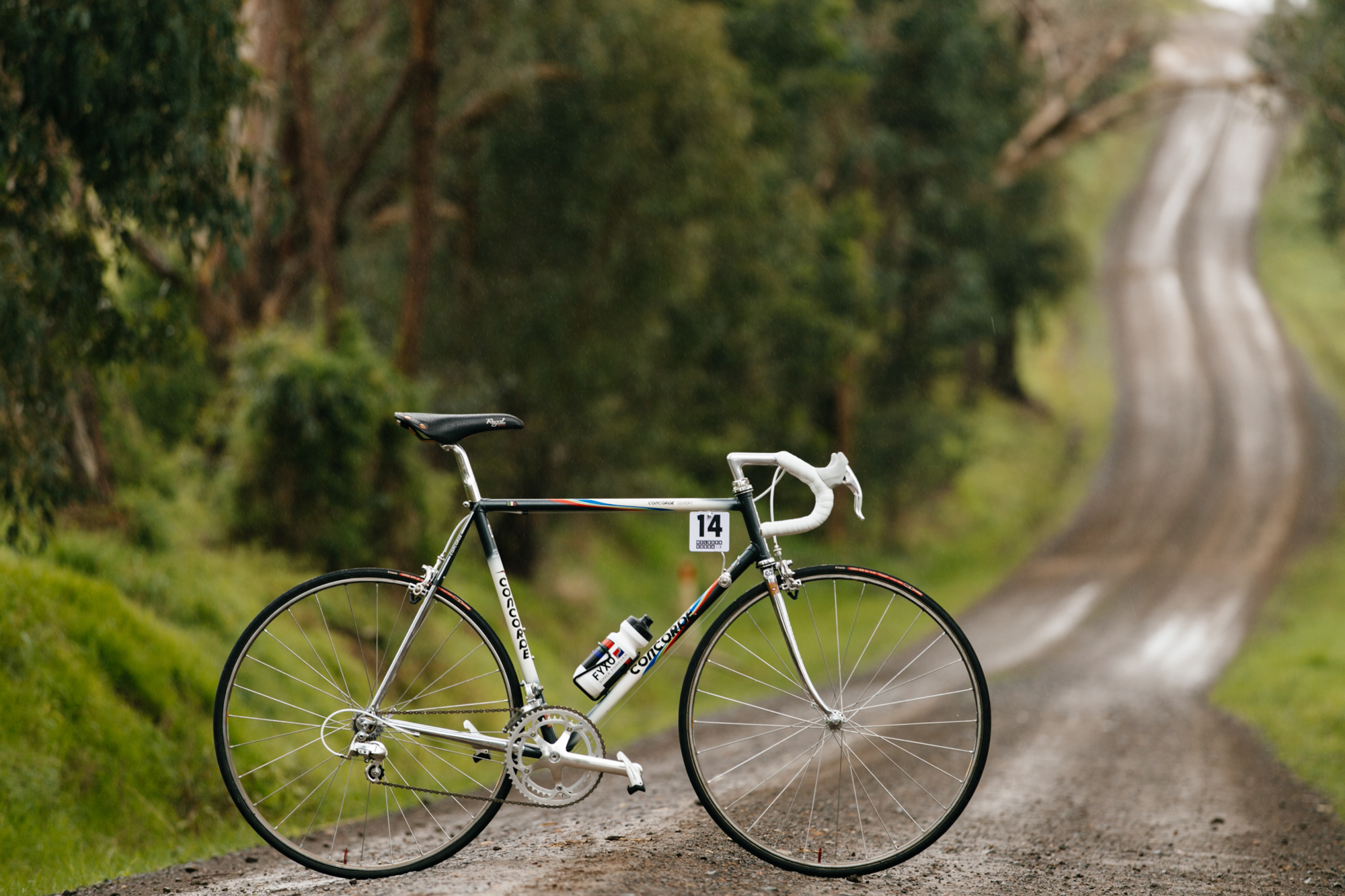 Andy’s Concorde Squadra PDM Road with Campagnolo – John Watson | The ...