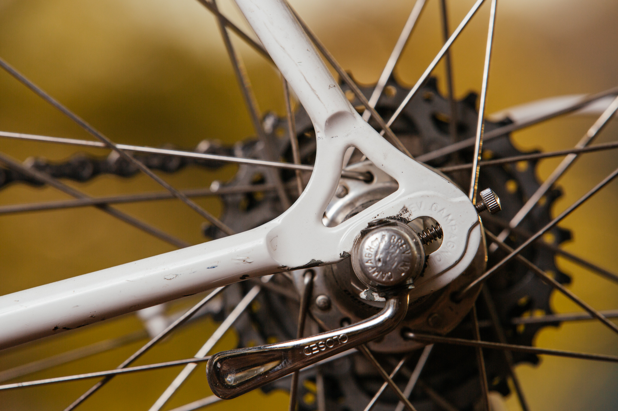 Chris’ Davidson Impulse Road with Campy 10-Speed – John Watson | The ...