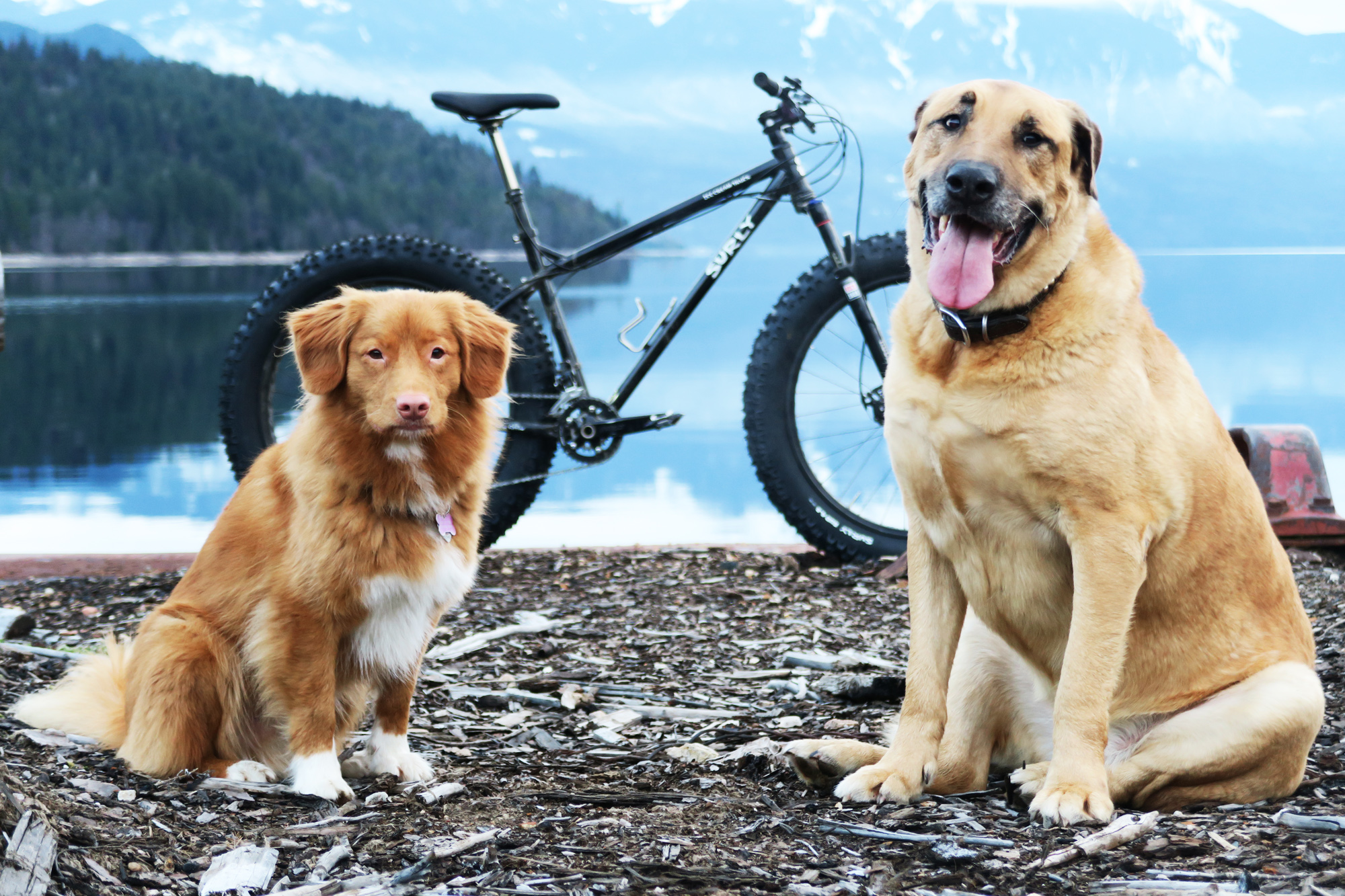 Introducing… Morgan Taylor | The Radavist | A group of individuals who ...