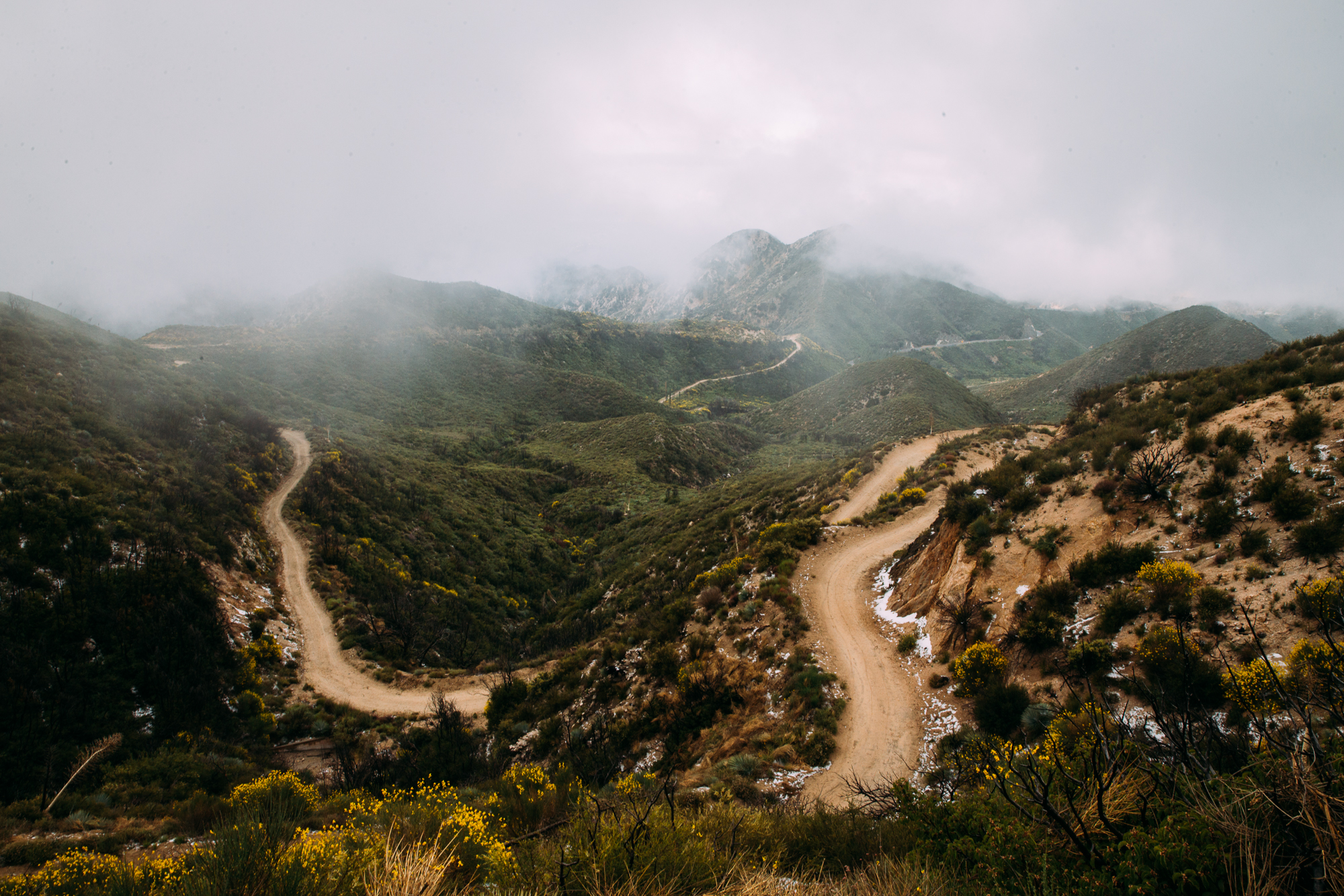 Enjoy Your Long Weekend ‘Mericuh | The Radavist | A group of ...