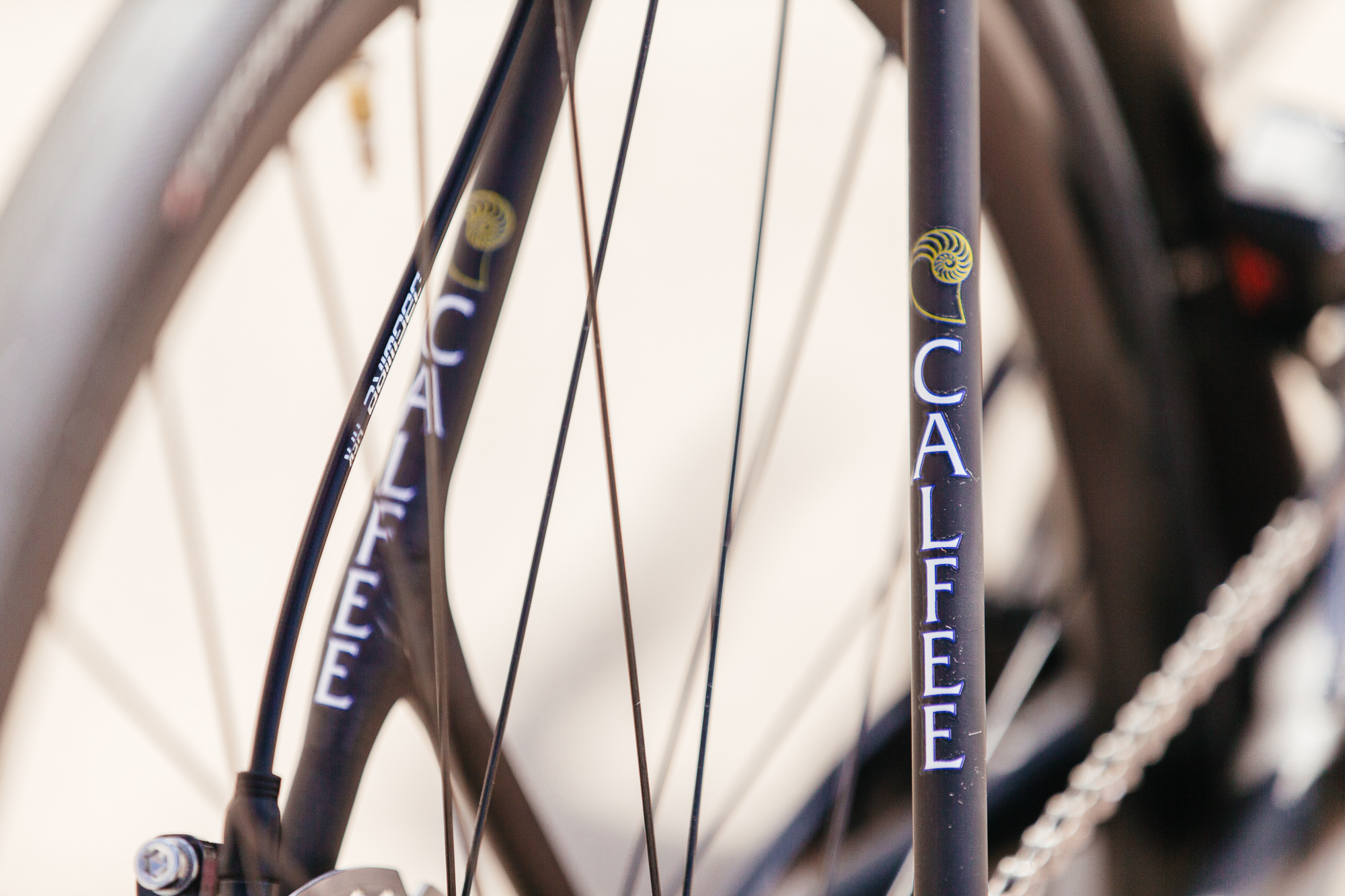 Golden Saddle Rides: A Carbon Fiber Calfee Tetra Tandem Project ...