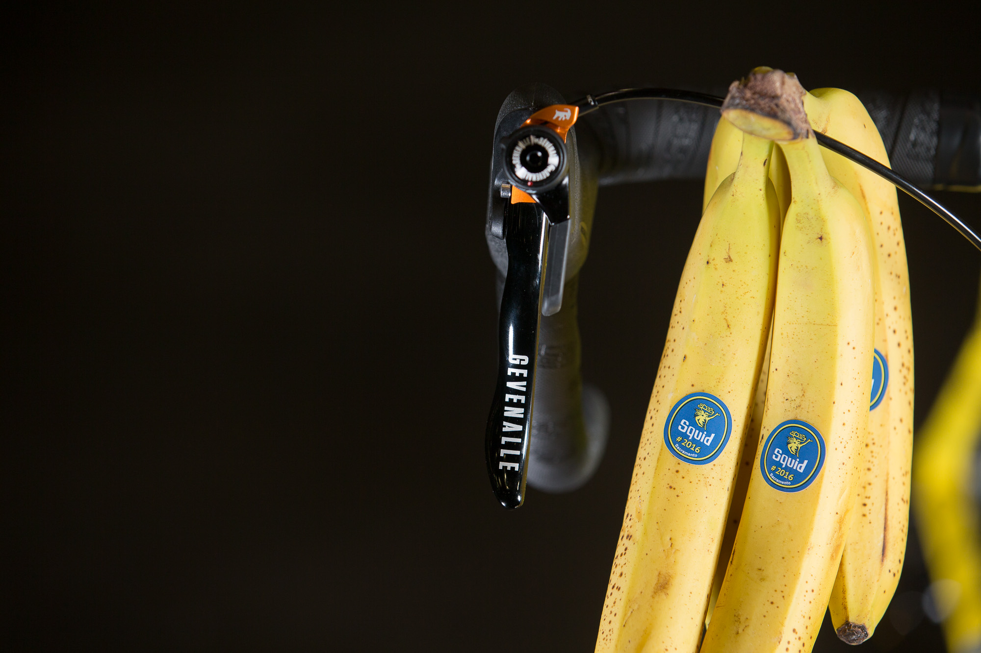 2016 NAHBS: Life Cycle of the Banana Squid ‘Cross – John Watson | The ...
