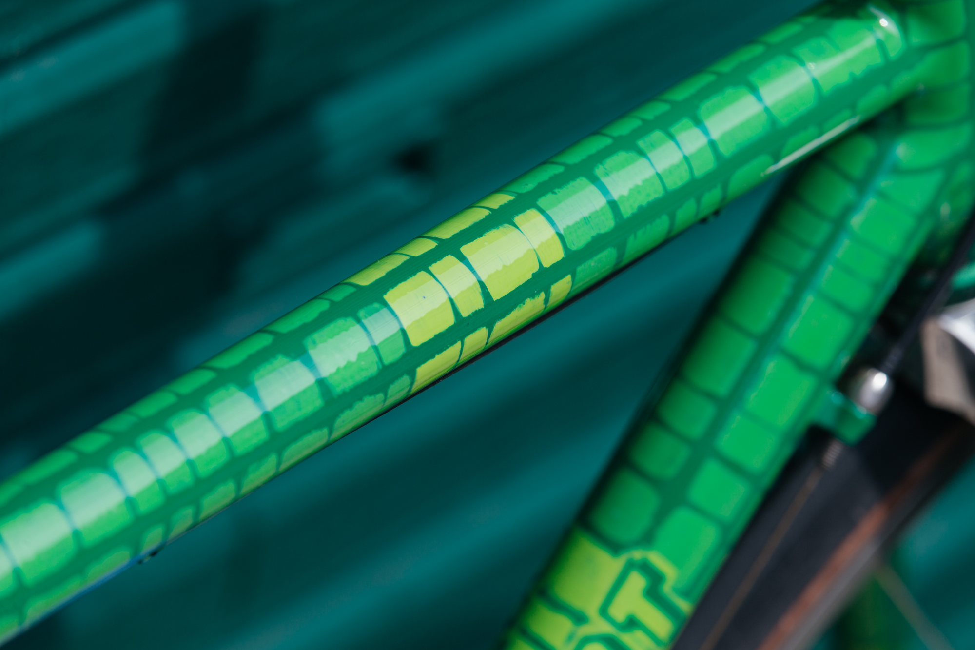 Keita’s Reptilian Black Cat Disc Road – John Watson | The Radavist | A ...