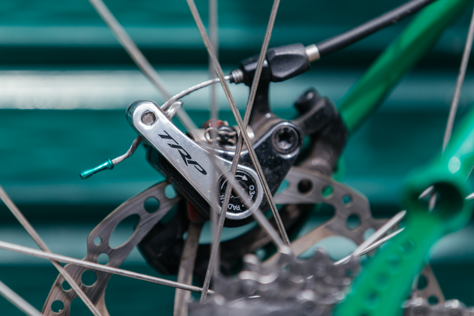 Keita’s Reptilian Black Cat Disc Road – John Watson | The Radavist | A ...