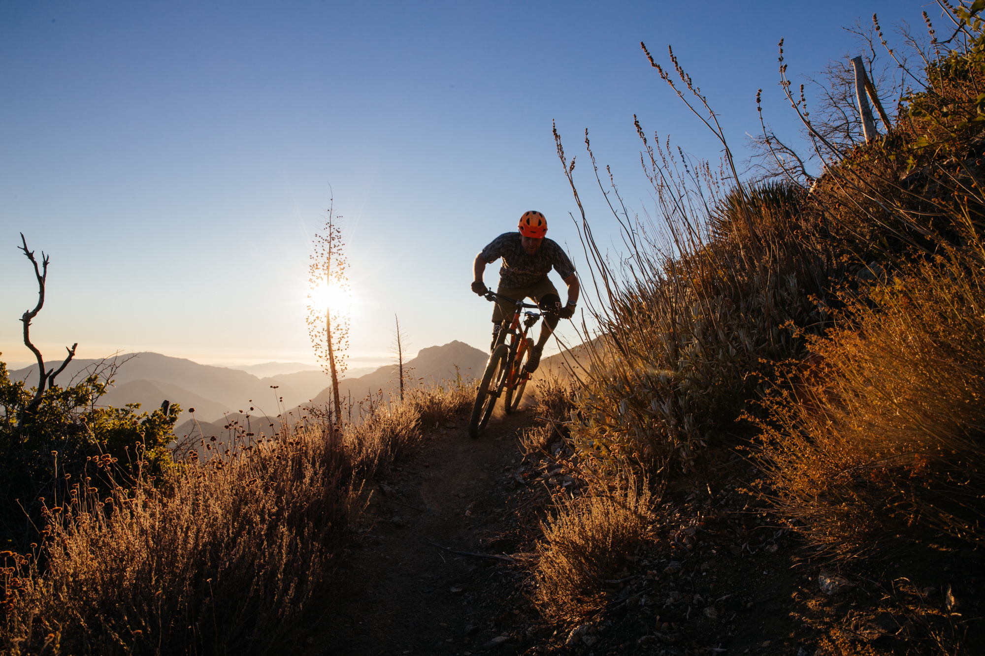 Bang for Your Buck: the Ritchey Timberwolf 27.5 Hardtail MTB – John ...