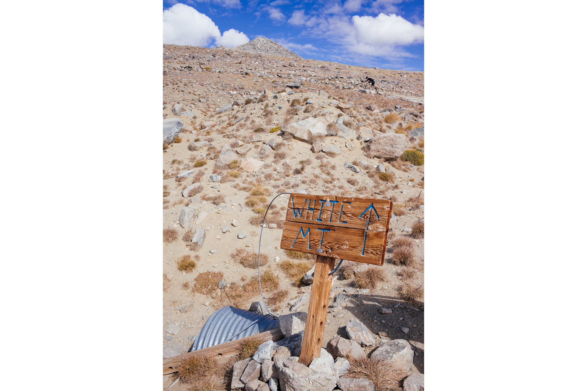 Cycling Up White Mountain Peak in the Inyo National Forest – John ...