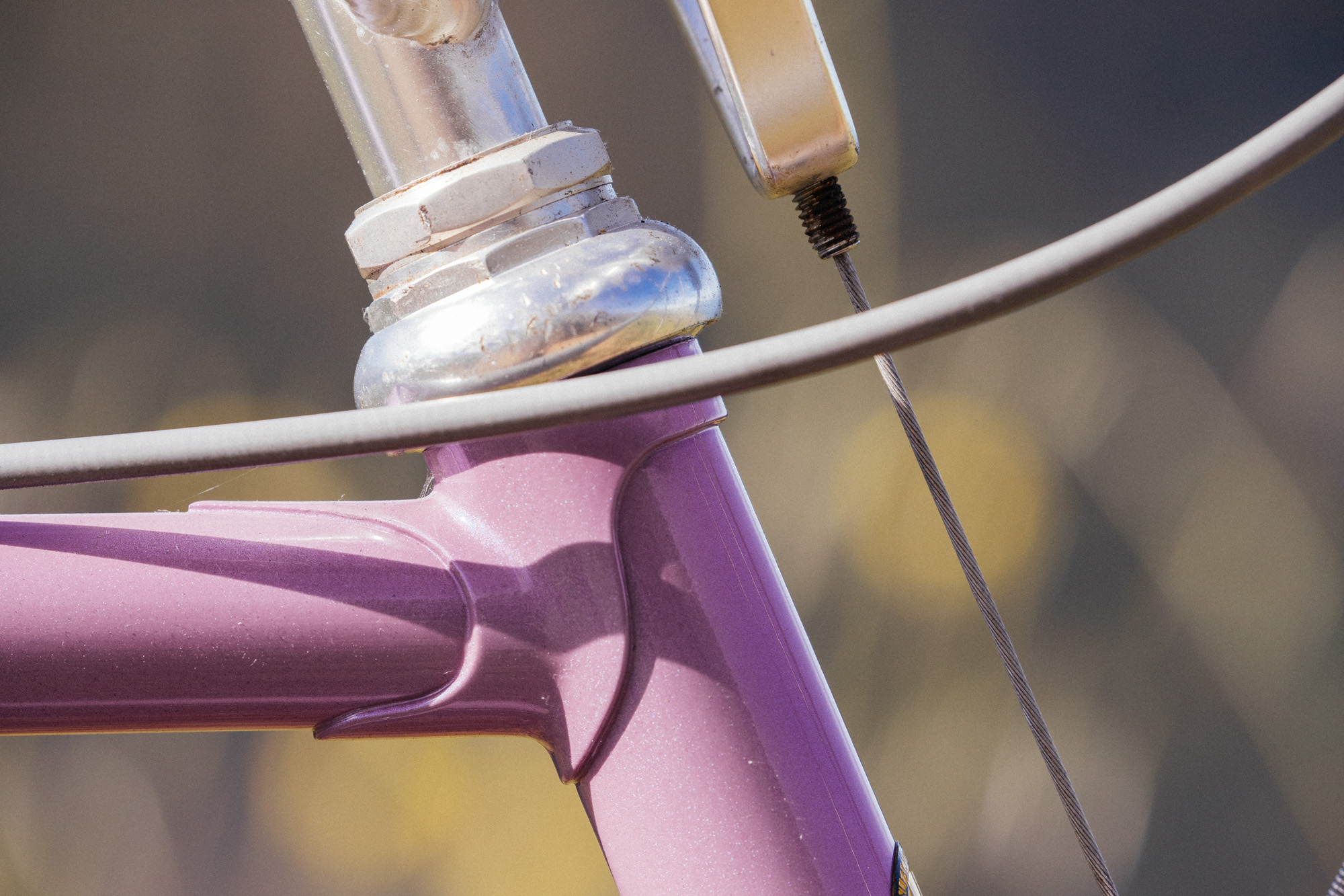 A Berry Blast from the Past: 1981 Jim Merz MTB – John Watson | The ...