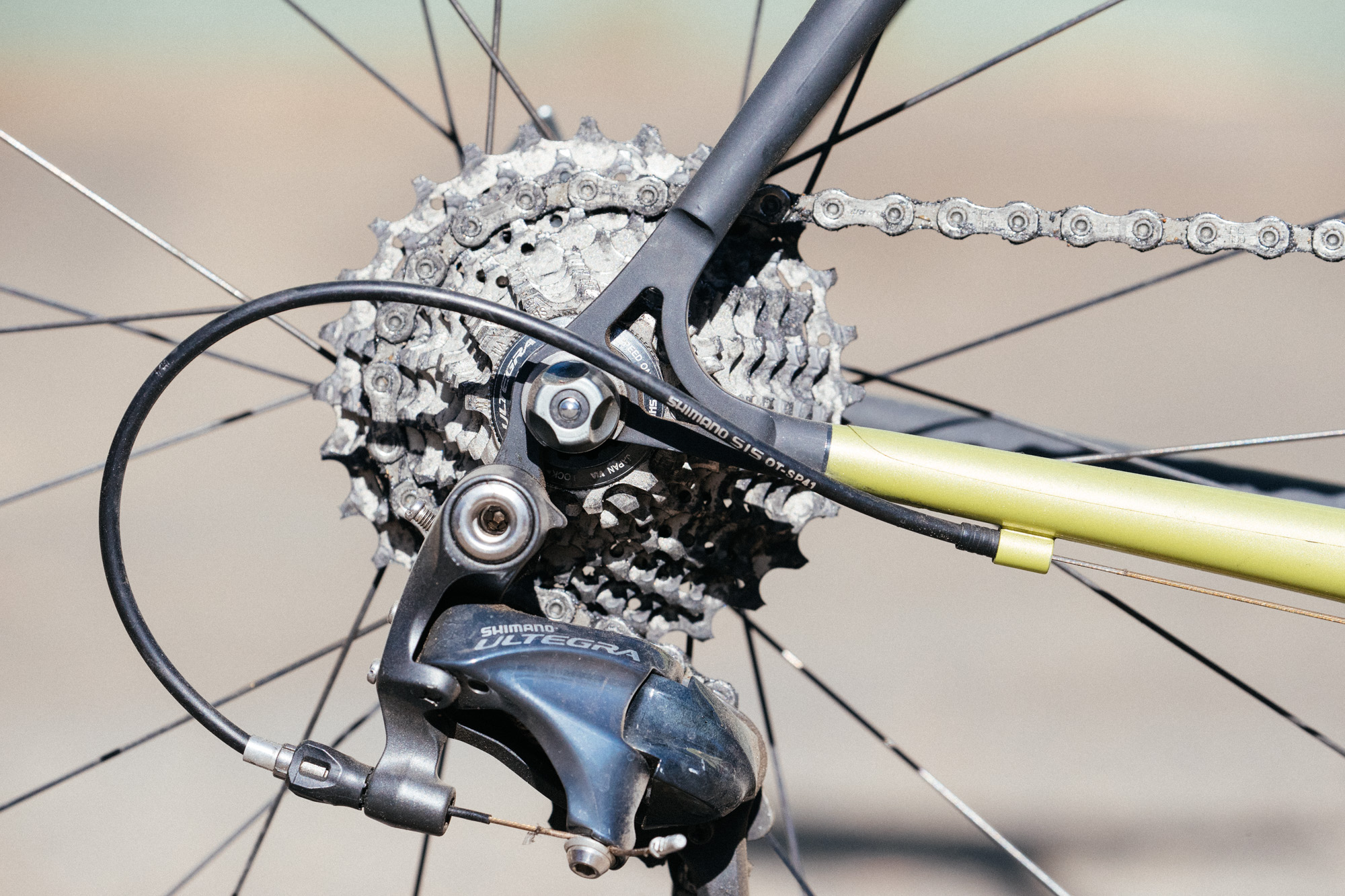 Reilly’s Breadwinner Lolo Road – John Watson | The Radavist | A group ...