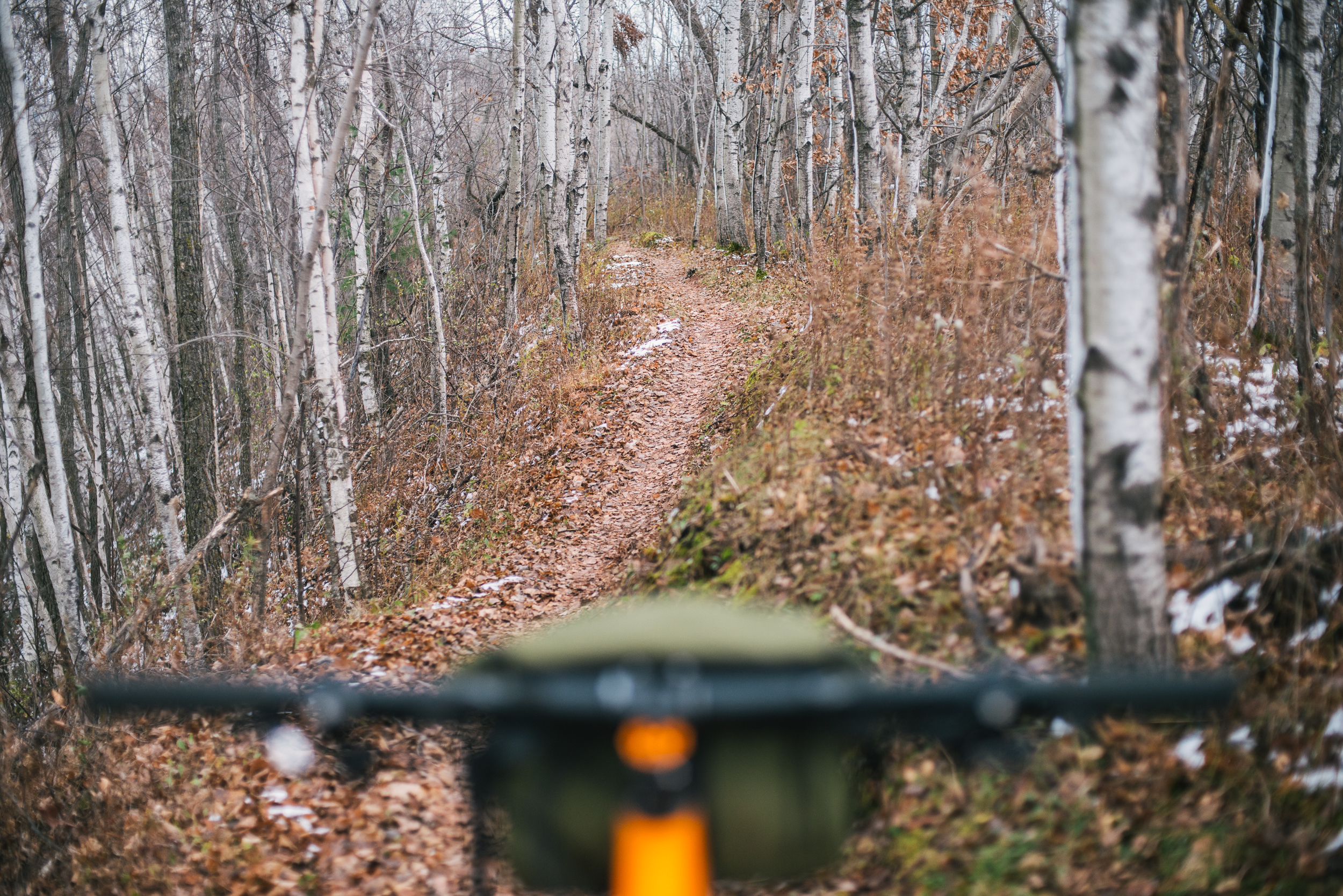Cake and Cuyuna with Brenda – Spencer Harding – John Watson | The ...