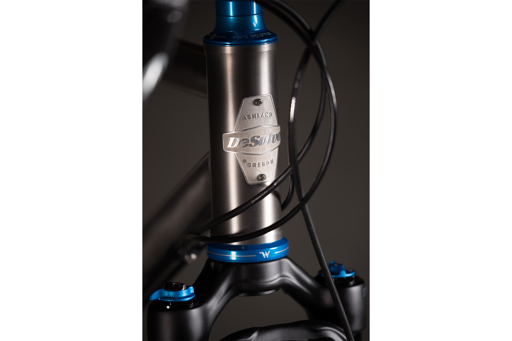 2018 NAHBS: DeSalvo Dirt Drop Dream MTB with a Fox AX Fork – John ...