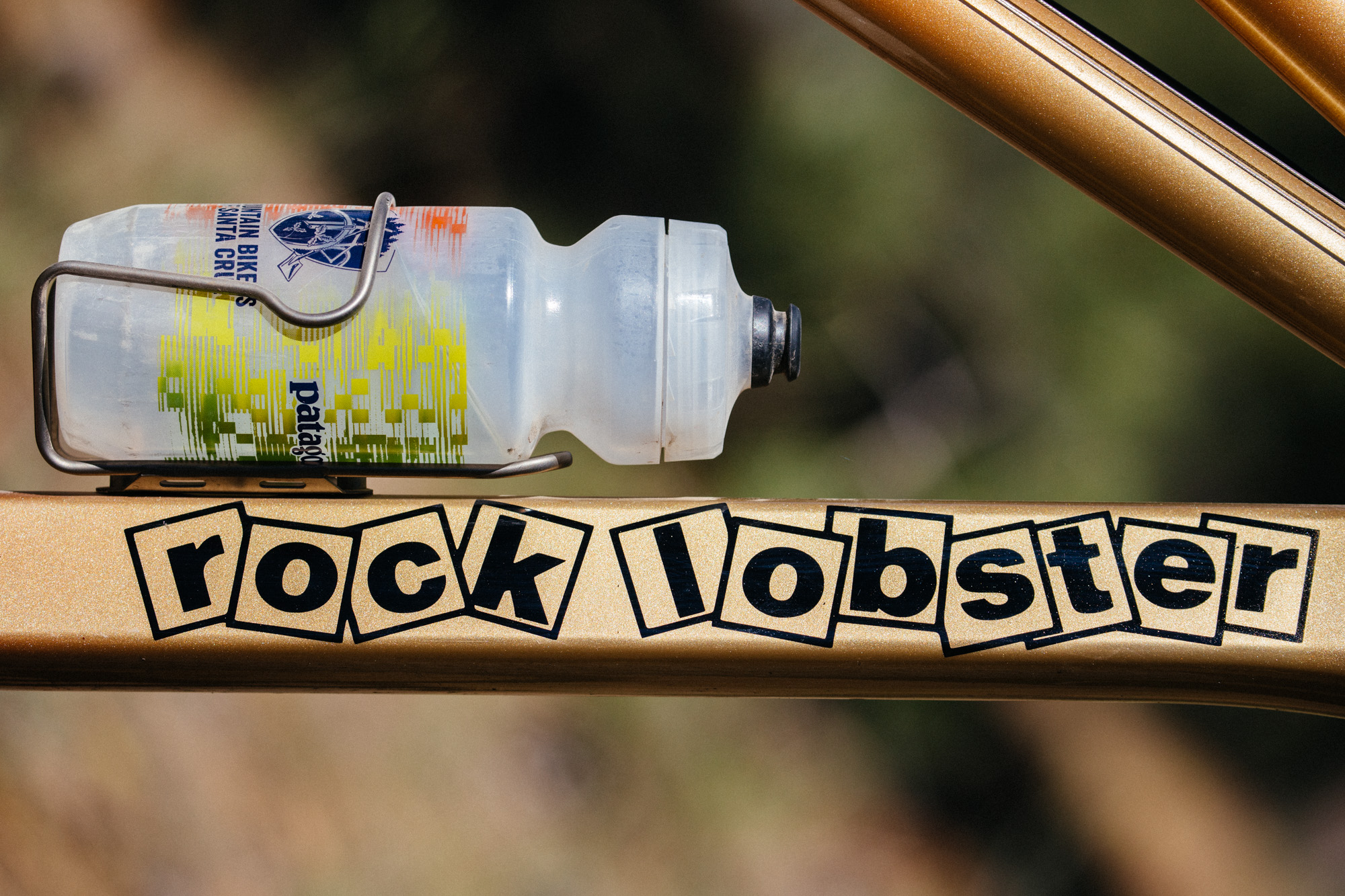 Team Scrapin’s Rock Lobster Relationship Accelerator – Amanda Schaper ...