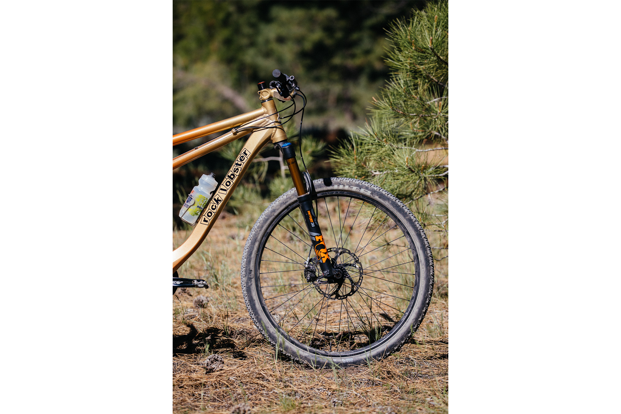 Team Scrapin’s Rock Lobster Relationship Accelerator – Amanda Schaper ...