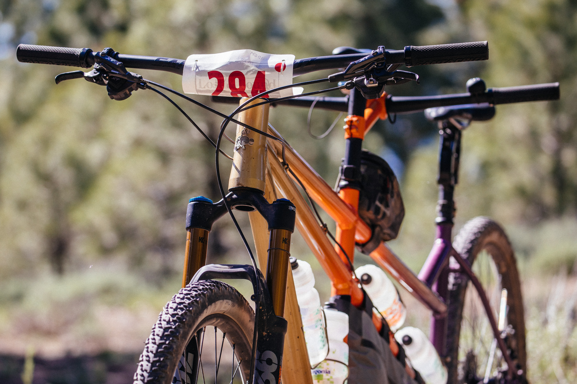 Team Scrapin’s Rock Lobster Relationship Accelerator – Amanda Schaper ...