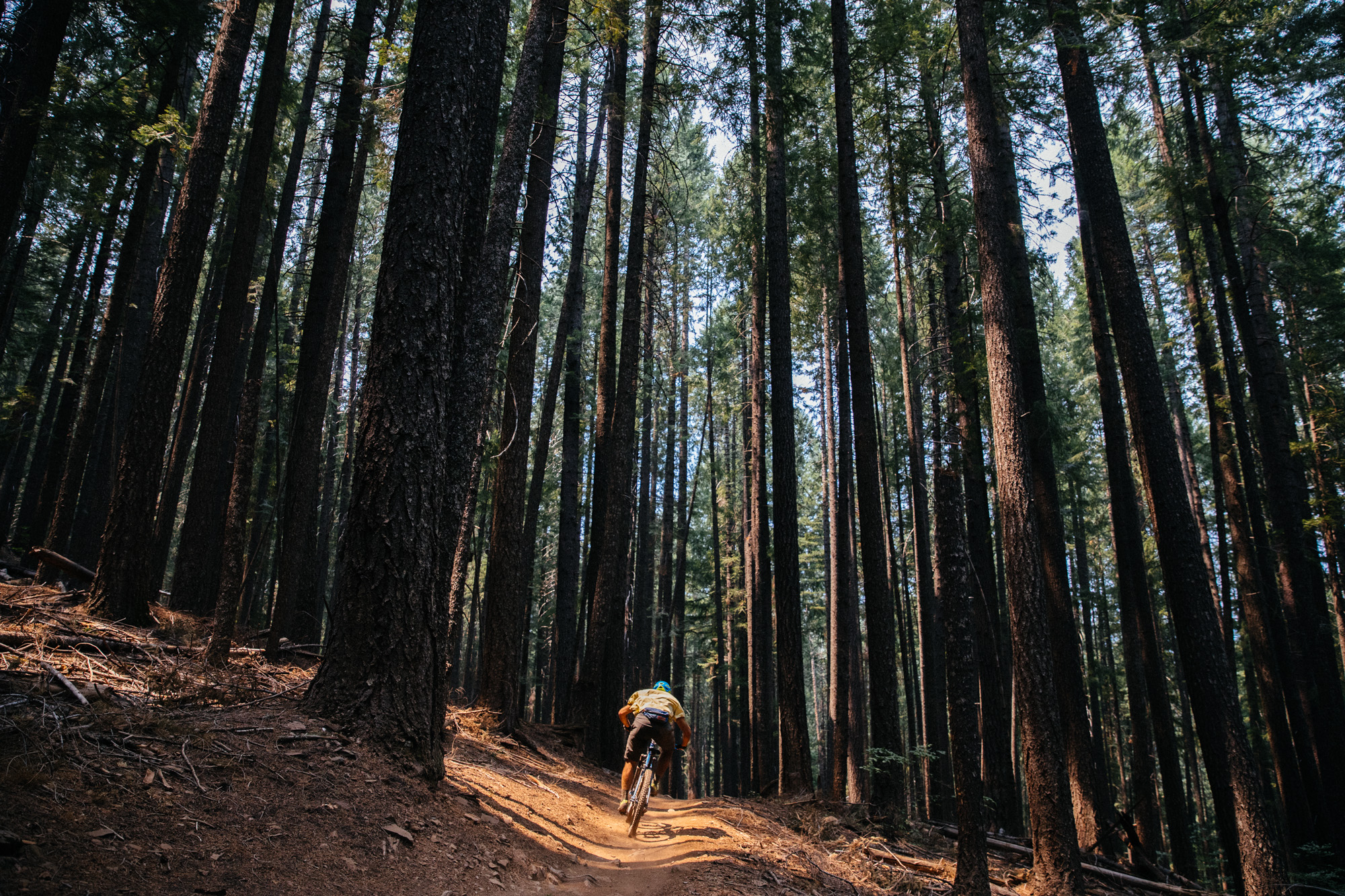 Sierra Buttes Trail Stewardship Launches Connected Communities | The ...