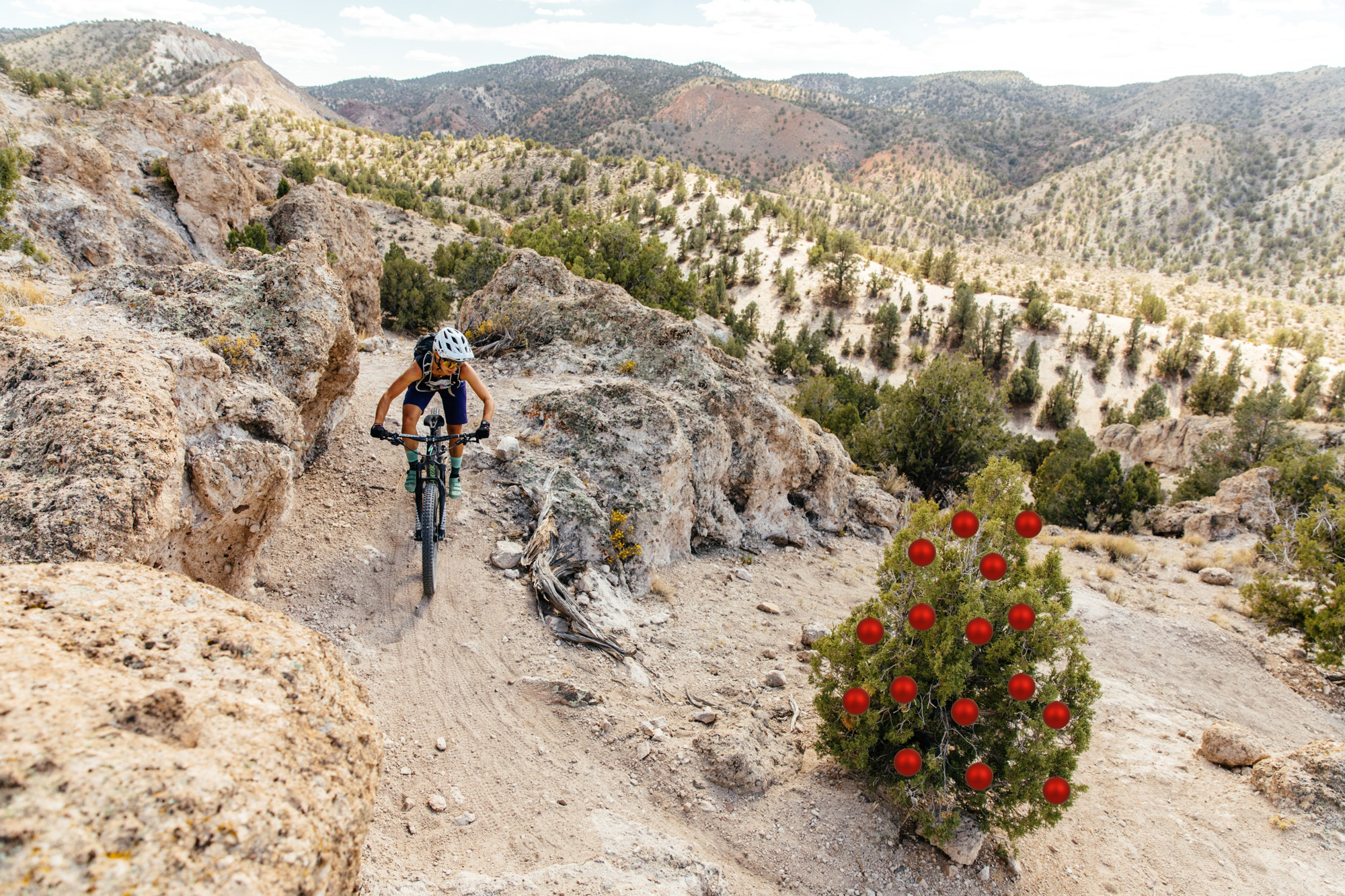 Happy Holidays From the Radavist | The Radavist | A group of ...