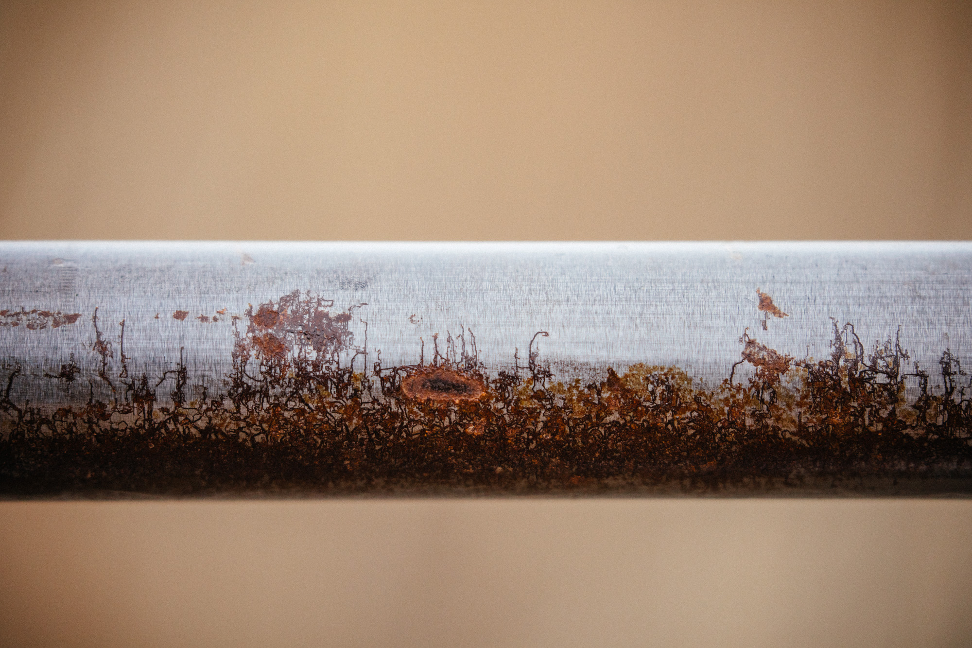 Super Stoke 2019: Hanson’s Rusty Crusty Evasion with Dark Realm Bags ...