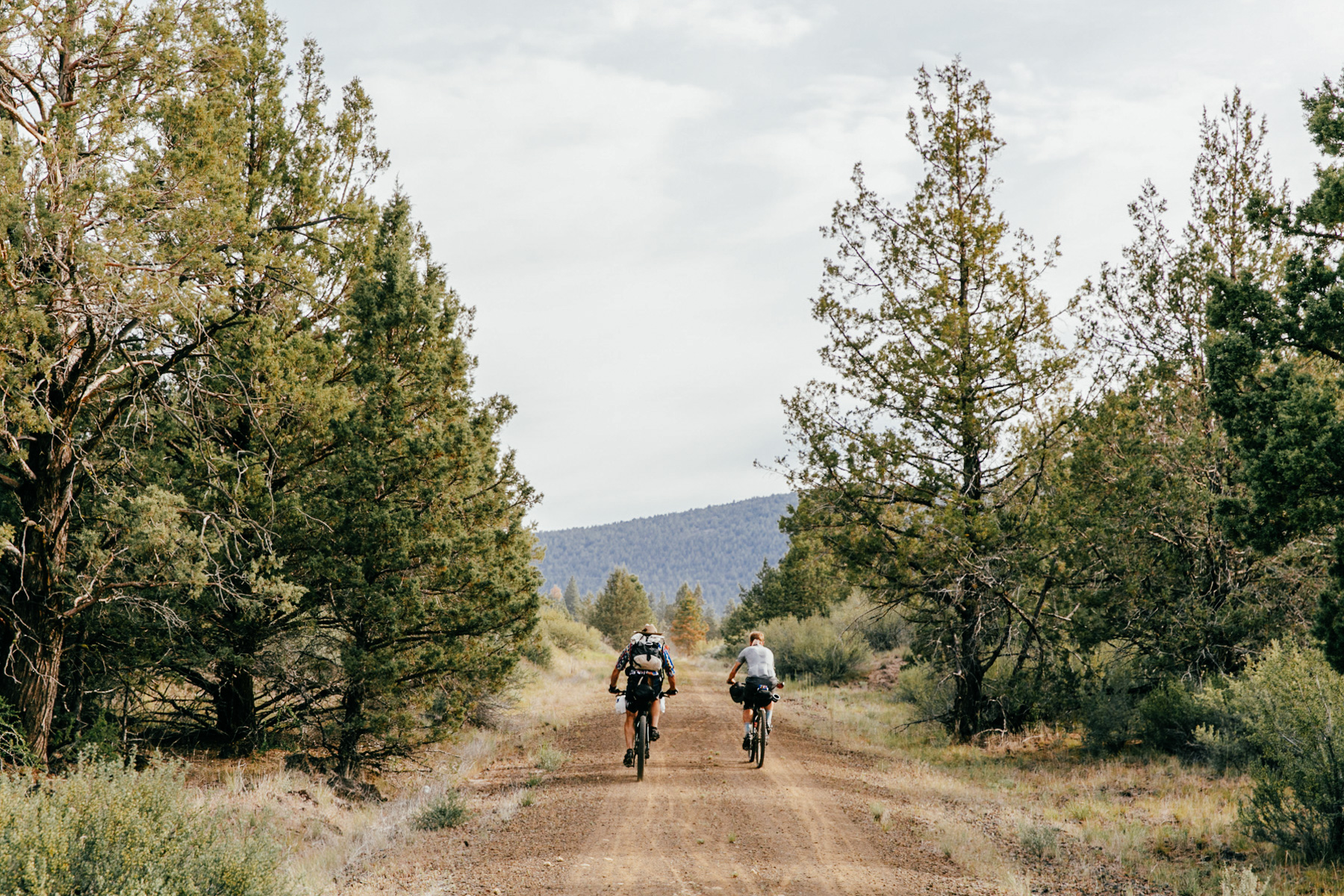 Throwback Thursday: the 2014 Oregon Outback – John Watson | The ...