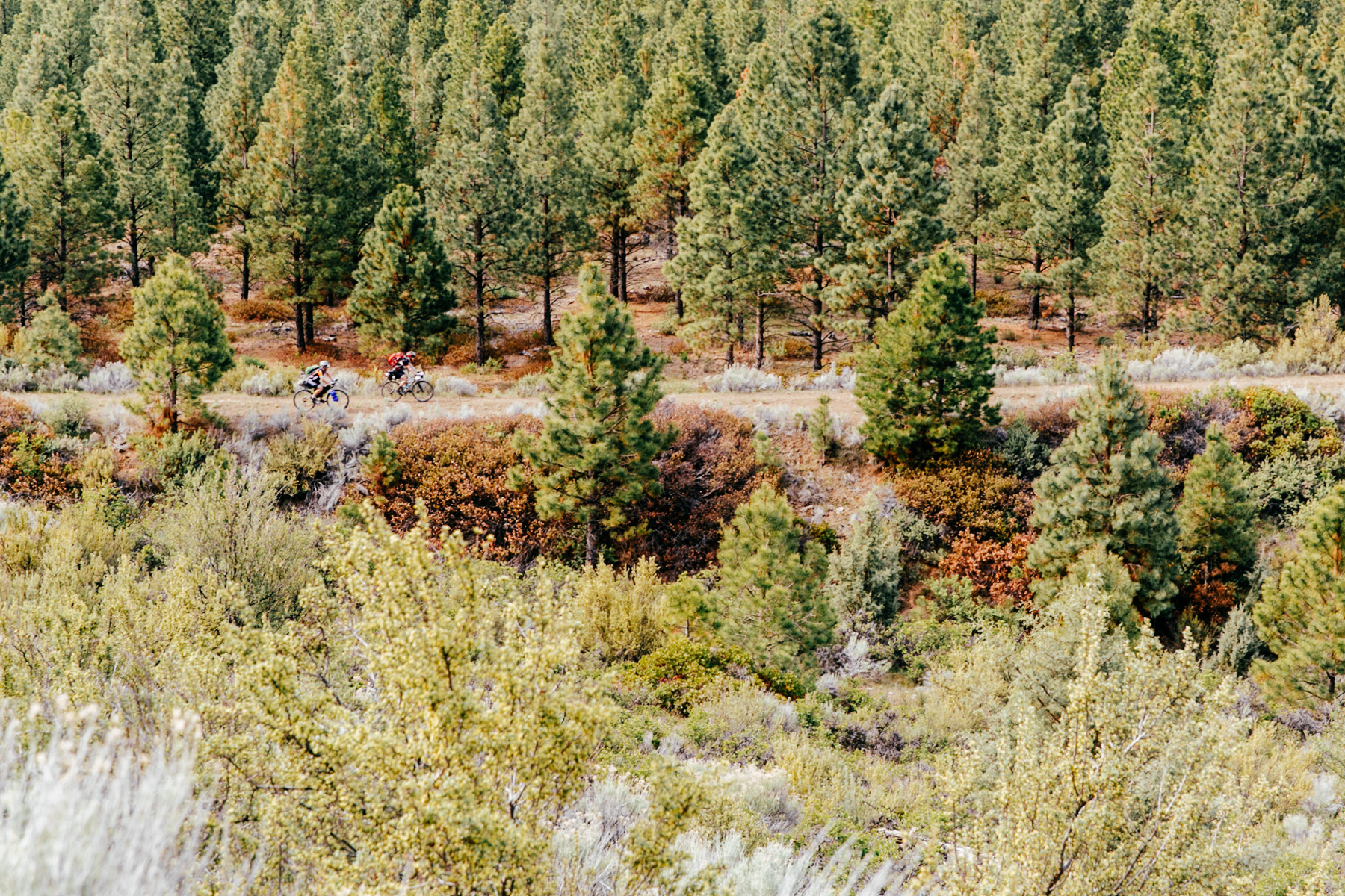 Throwback Thursday: the 2014 Oregon Outback – John Watson | The ...