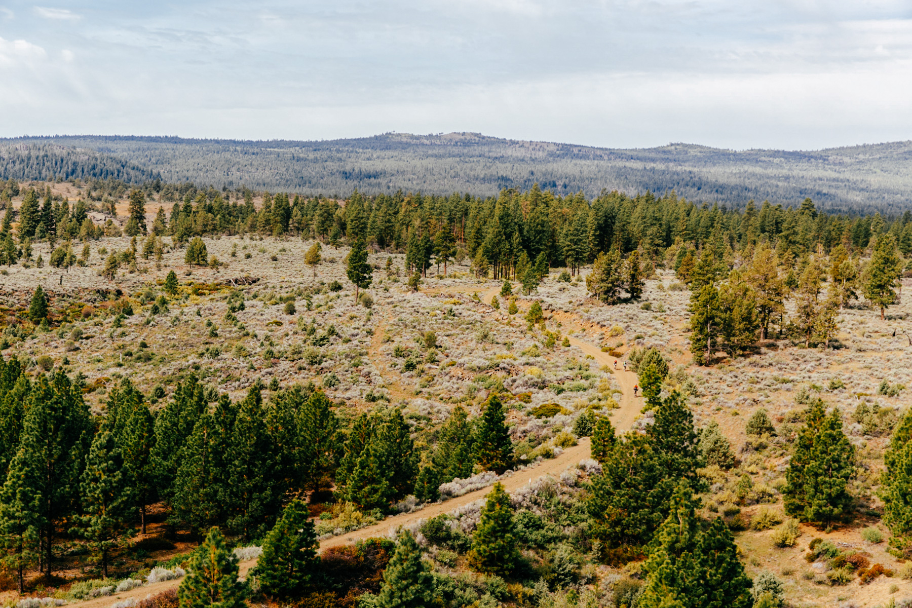 Throwback Thursday: the 2014 Oregon Outback – John Watson | The ...