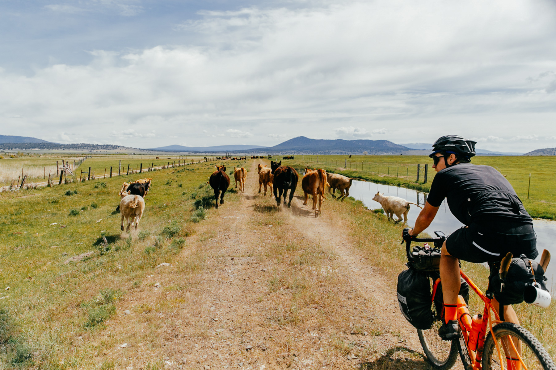 Throwback Thursday: the 2014 Oregon Outback – John Watson | The ...