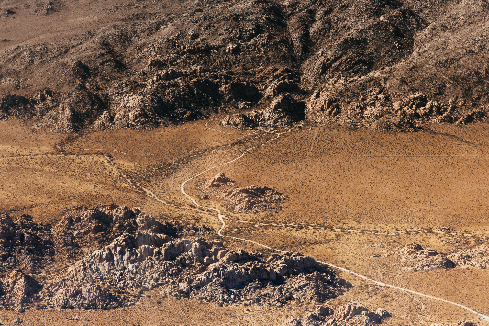 Celebrating the 25th Anniversary of the California Desert Protection ...