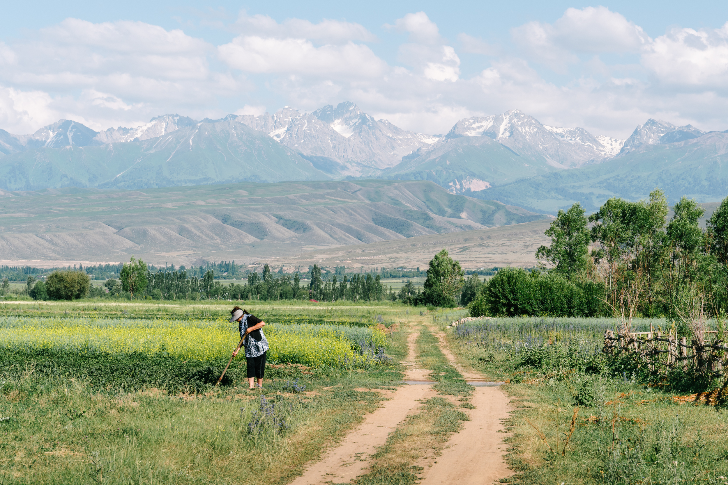 If Only They Could All Be Arabel: Living and Riding in Central Asia ...