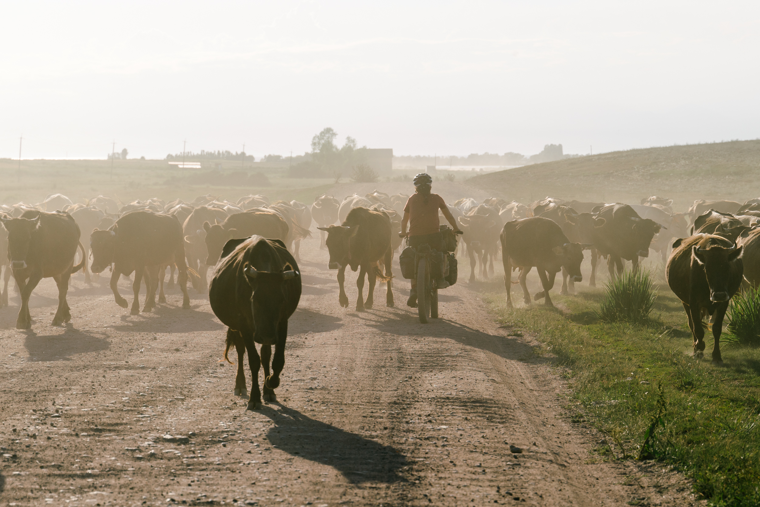 If Only They Could All Be Arabel: Living and Riding in Central Asia ...