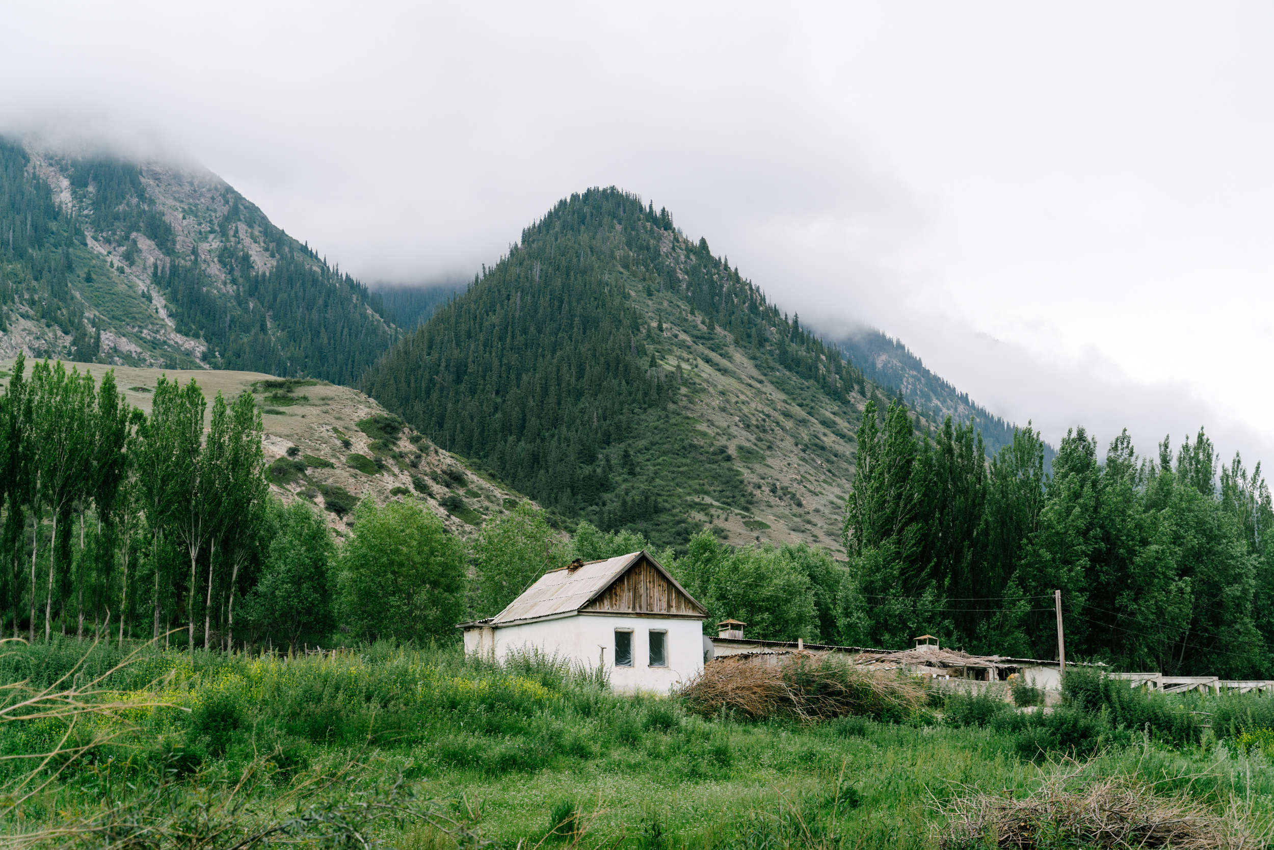 If Only They Could All Be Arabel: Living and Riding in Central Asia ...