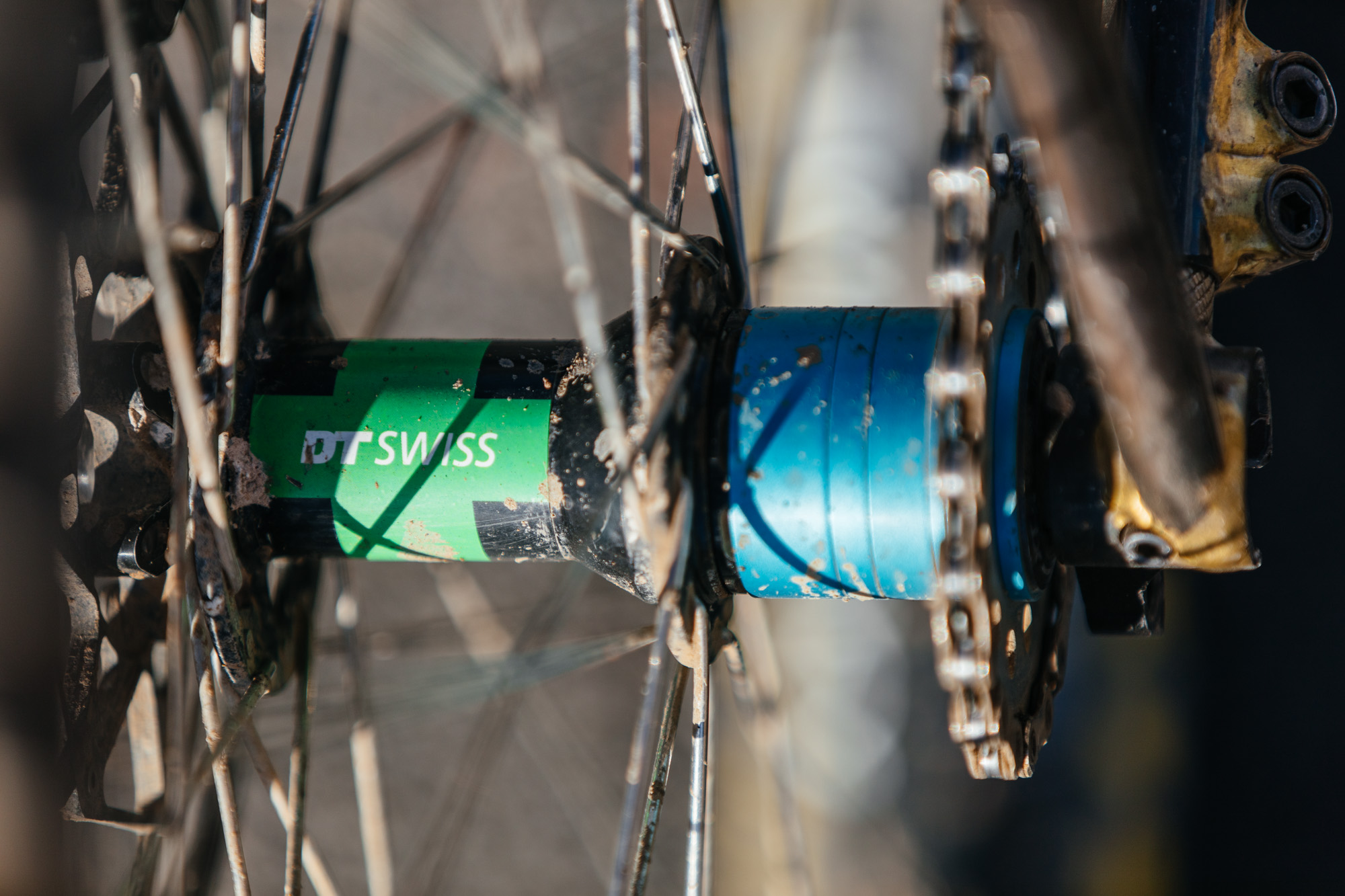 Bailey and His Custom Moné Bikes Singlespeed 29er Touring Bike – John ...