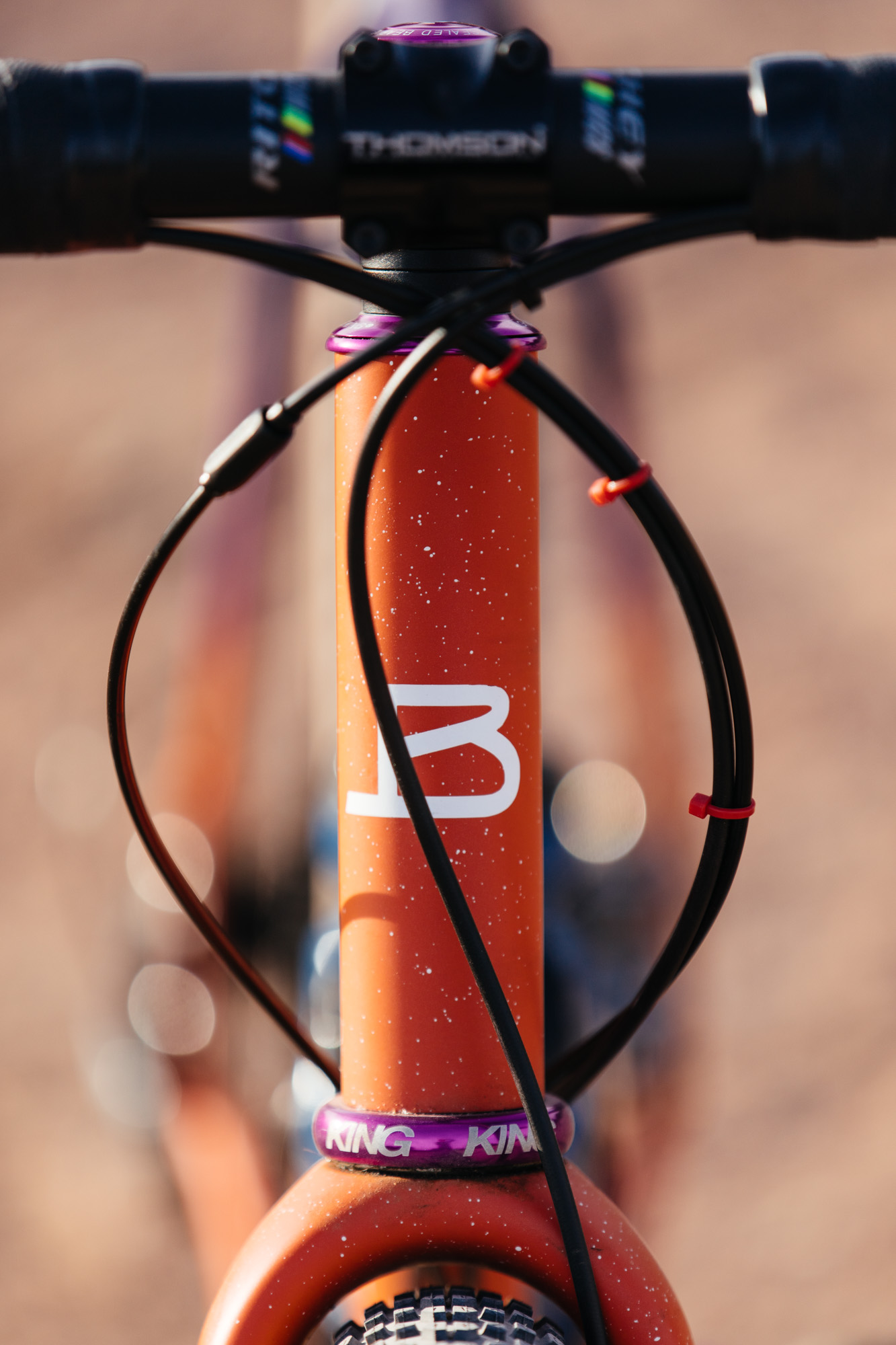 Dust in the Wind: Six Months of Bliss on the Bice Biycles Wandrian 29er ...