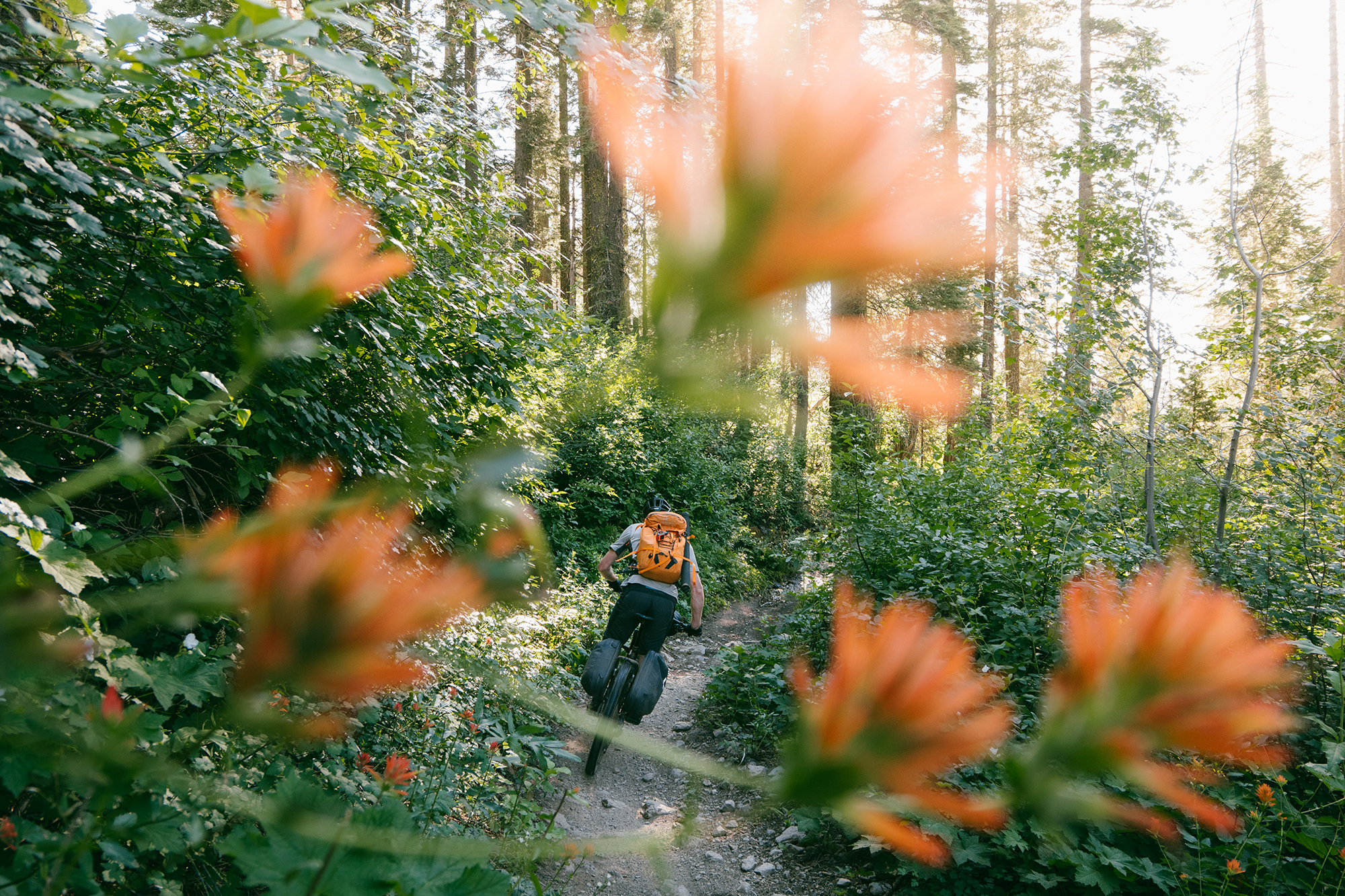 Bikepacking Roots: Lost Sierra Route | The Radavist | A group of ...