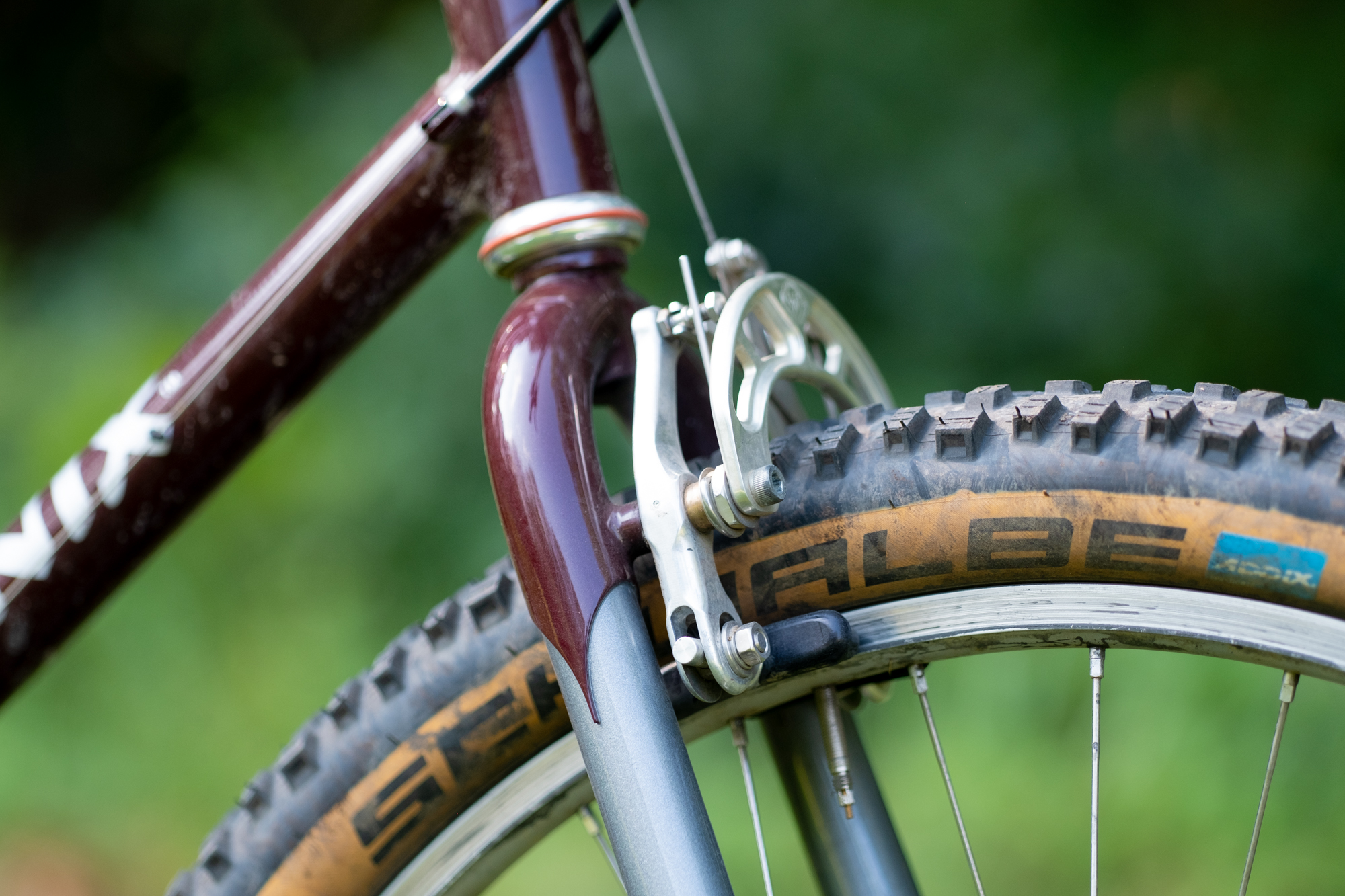 Wilderness Trail Bikes Phoenix (WTB) – Second Spin – Martin Kozaczek ...