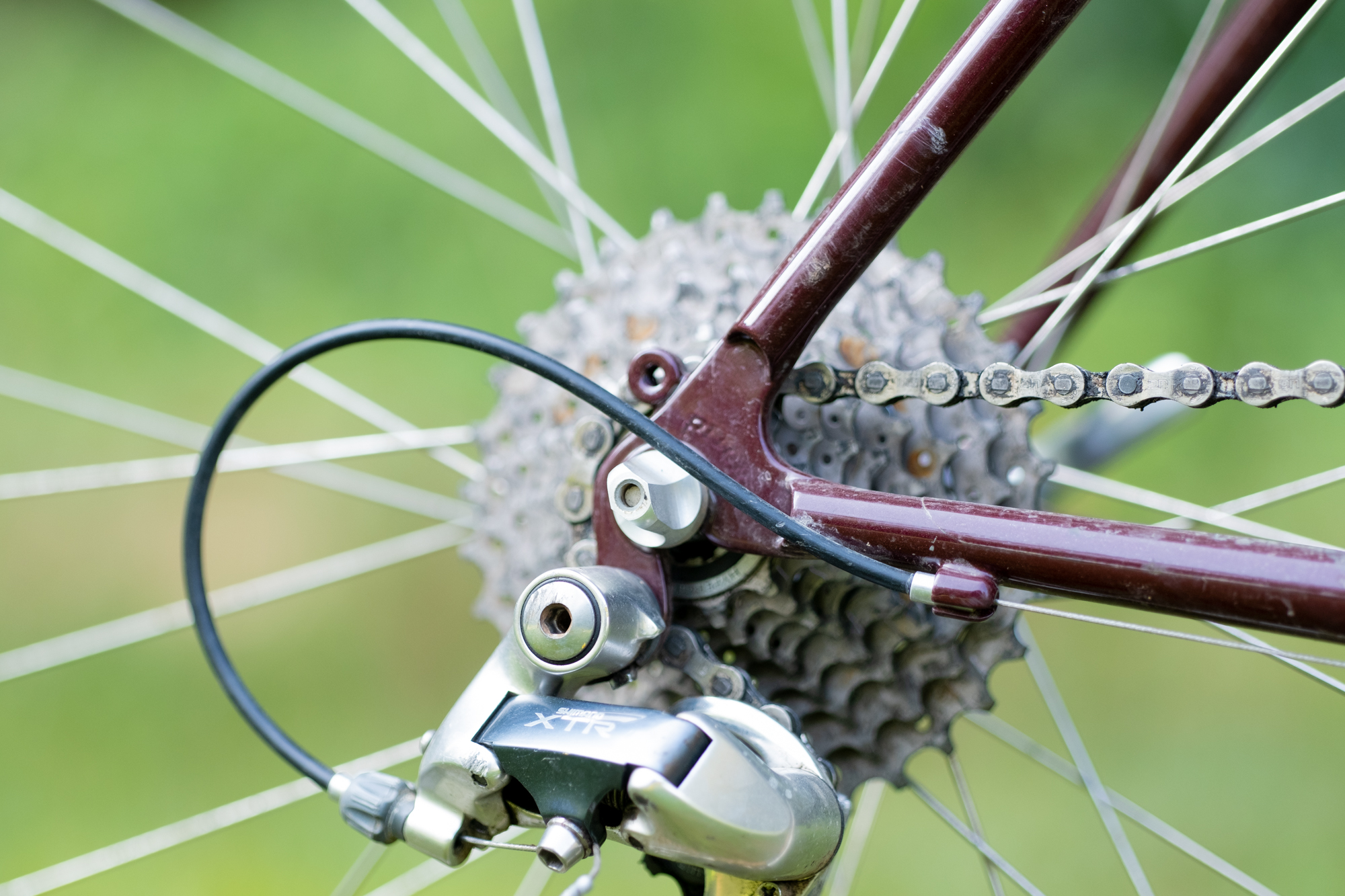 Wilderness Trail Bikes Phoenix (WTB) – Second Spin – Martin Kozaczek ...