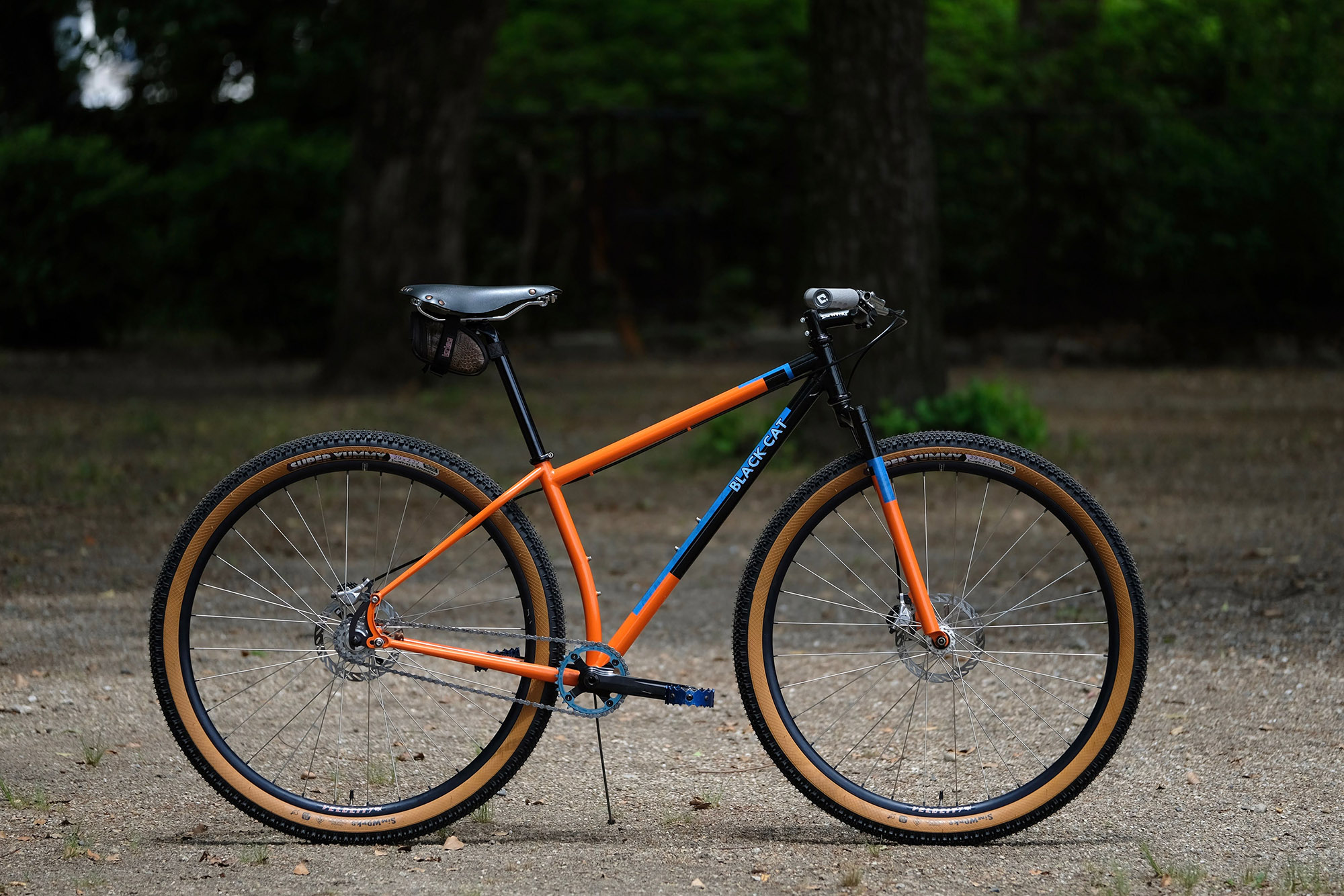 Sim Works: Super Yummy 29 x 2.2 Tires and a Special Build by Black Cat ...