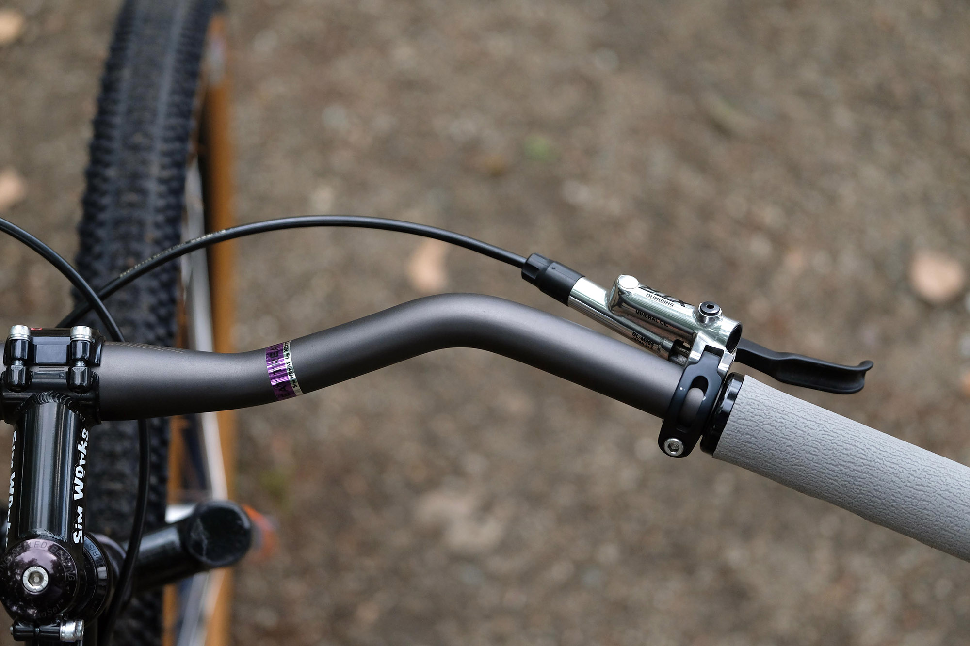 Sim Works: Super Yummy 29 x 2.2 Tires and a Special Build by Black Cat ...