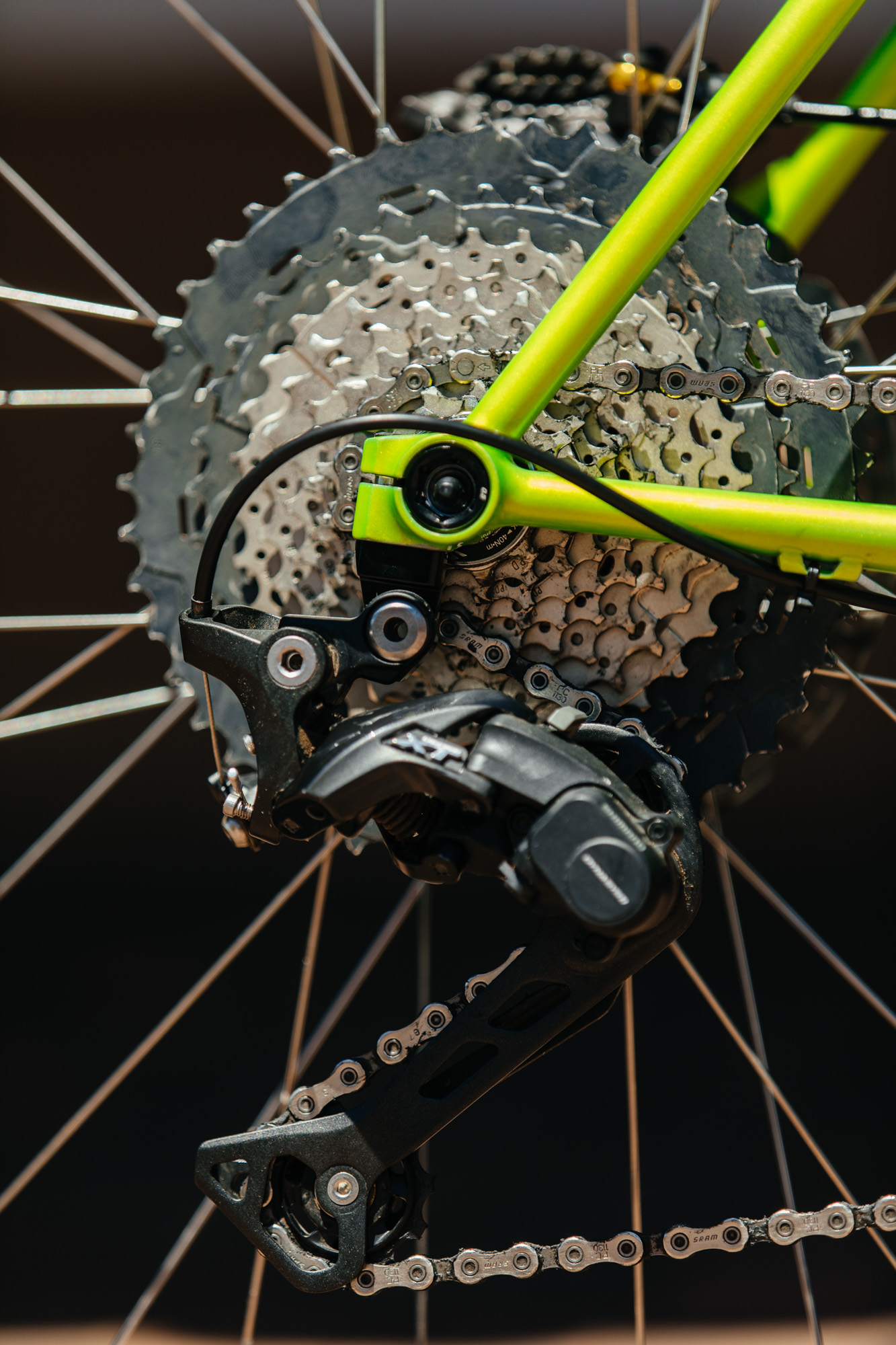 Michael’s Radioactive Rex Cycles Fillet Brazed 29er Hardtail – John ...