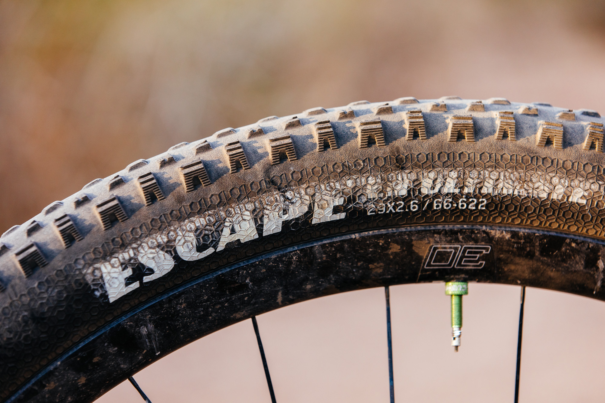 A Good Run with the Goodyear 29 x 2.6 Escape MTB Tires | The Radavist ...