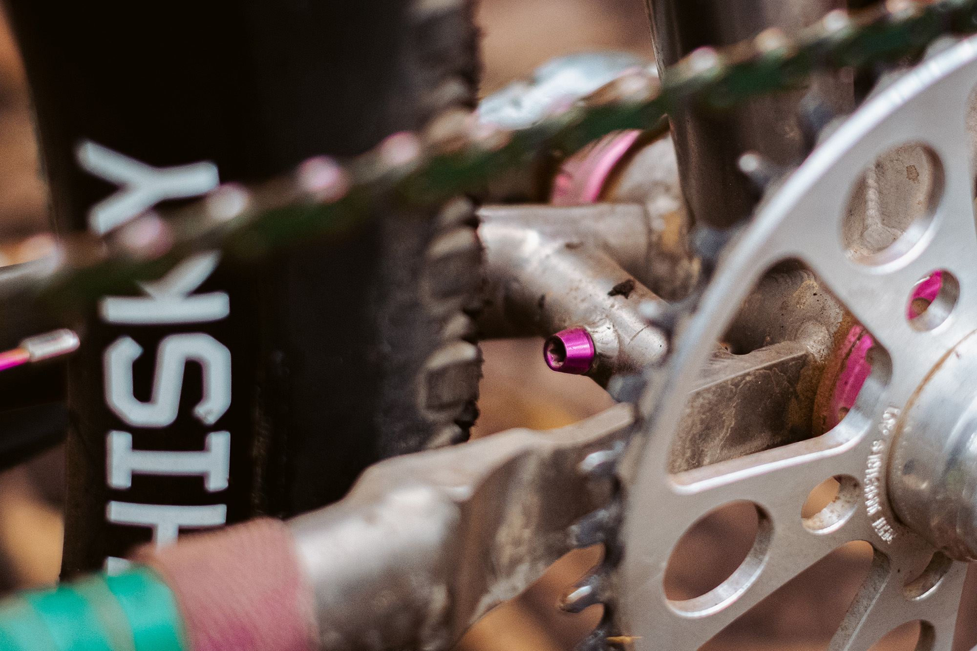 Lisa Frank Mechanical Mullett: Marc’s Why Cycles R+ Touring Bike – RJ ...