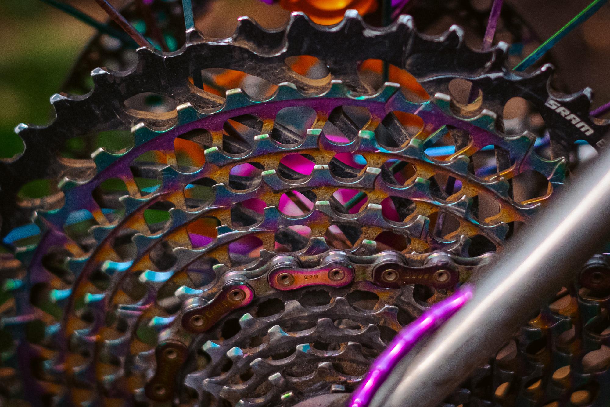 Lisa Frank Mechanical Mullett: Marc’s Why Cycles R+ Touring Bike – RJ ...