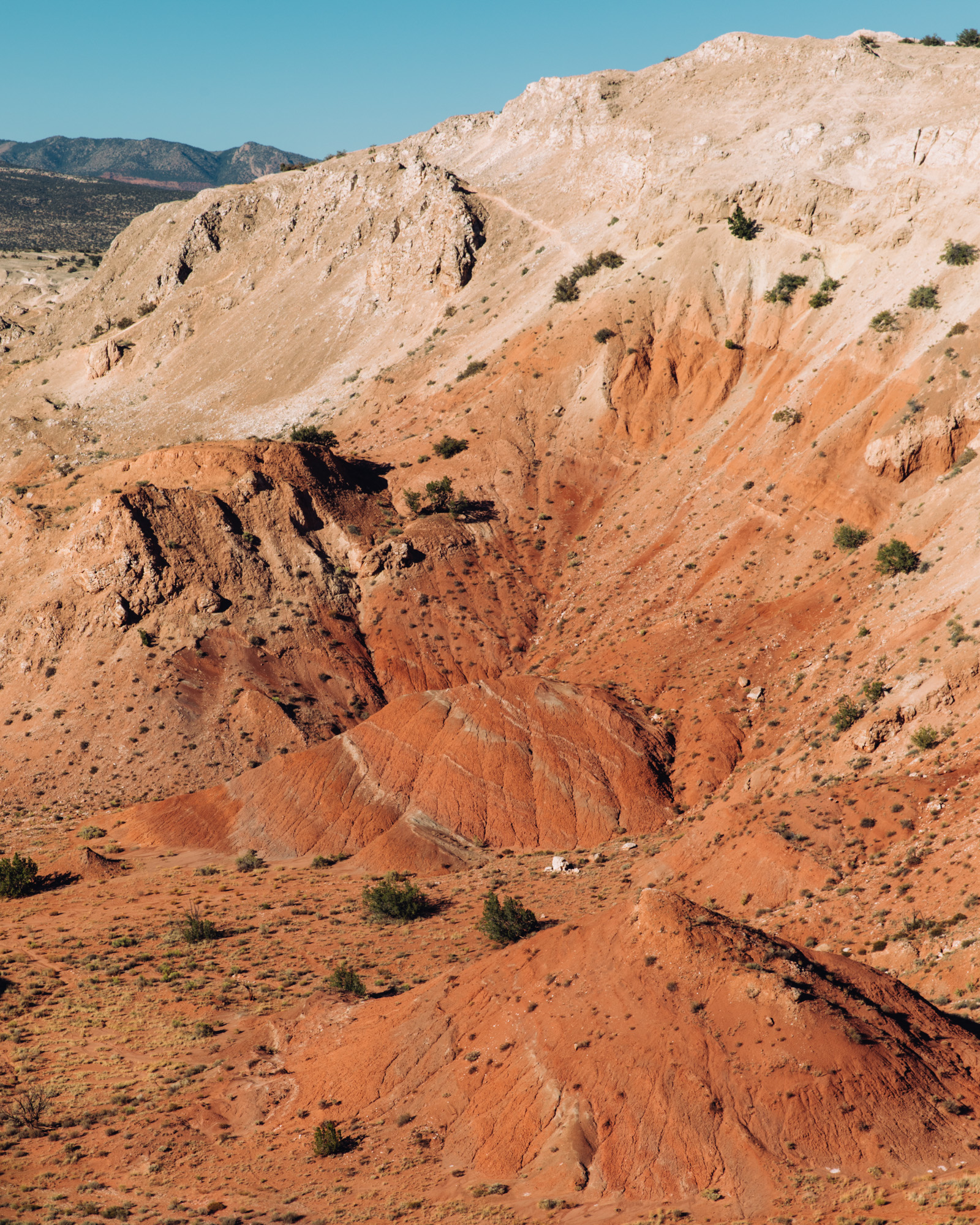 San Ysidro Anticline: Riding the Folds of the White Ridge Mountain Bike ...