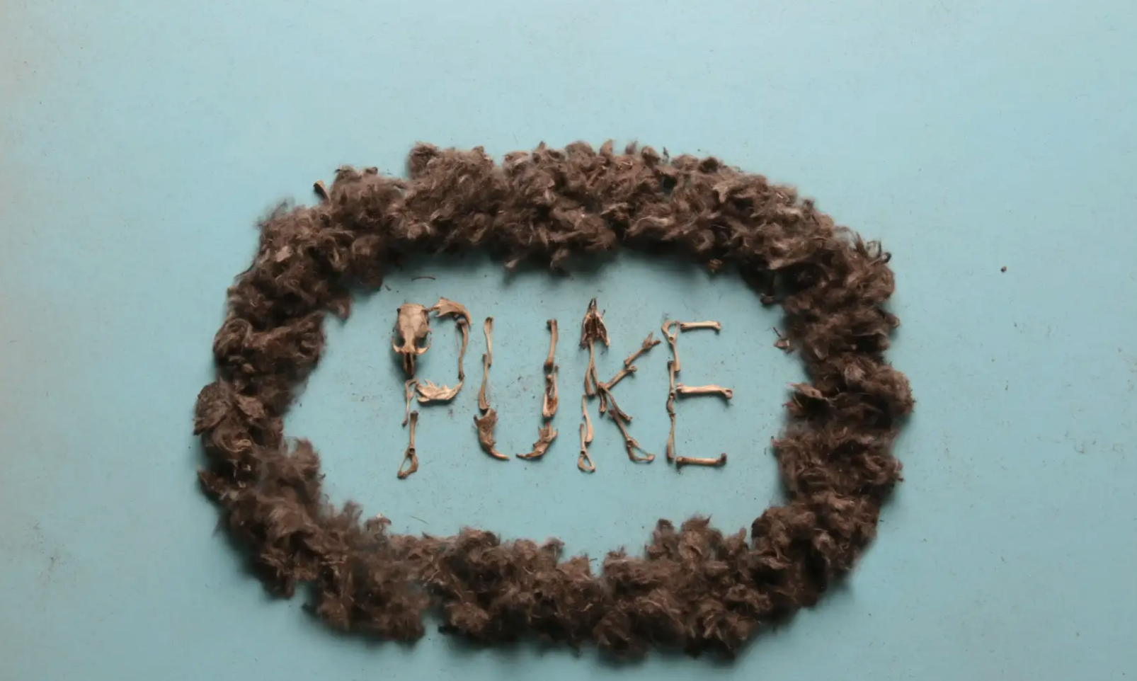 PUKE | The Radavist | A group of individuals who share a love of ...