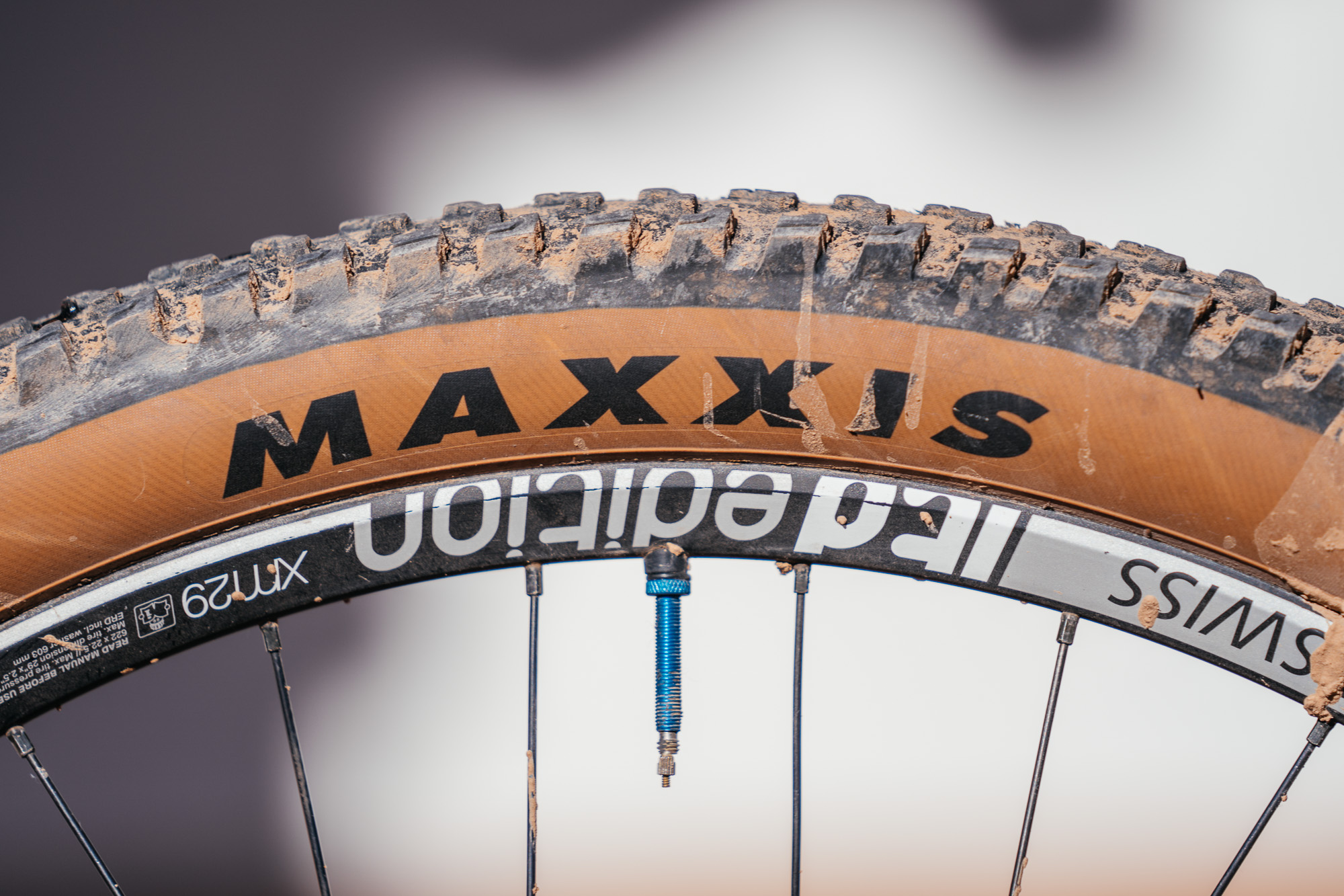 Jonah and His Kokopelli Warthog Ti Hardtail 29er – john watson | The ...