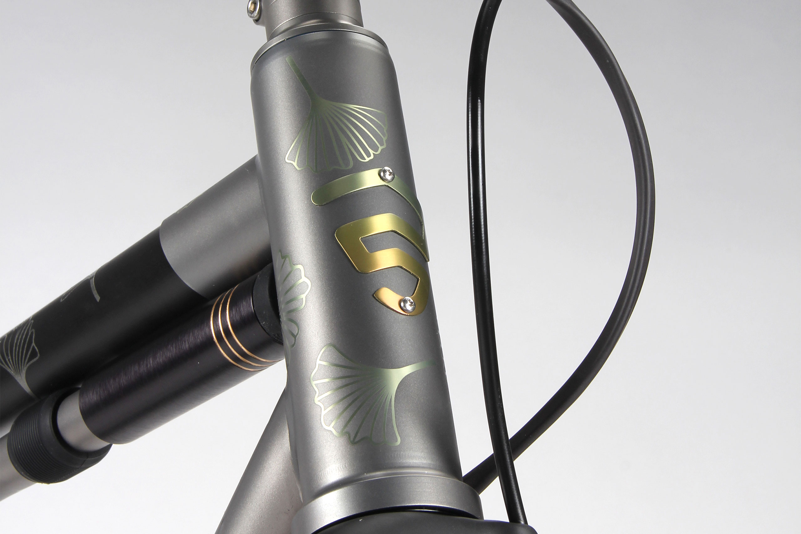 Firefly Announces New Technology | The Radavist | A group of ...