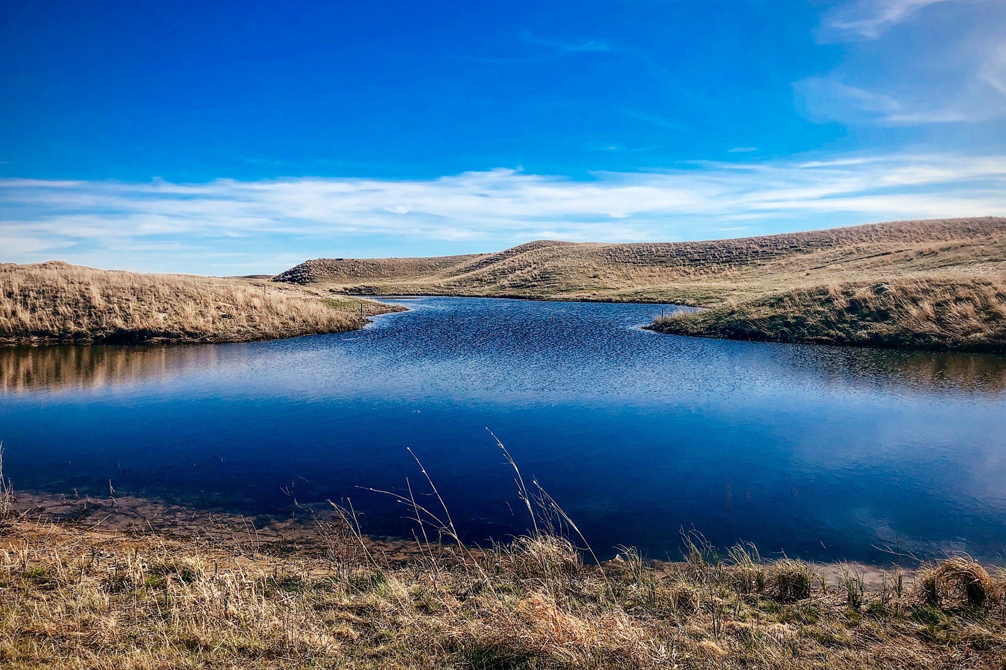 High Plains Byway Extended Edition: A Sandhills Odyssey – Hailey Moore ...