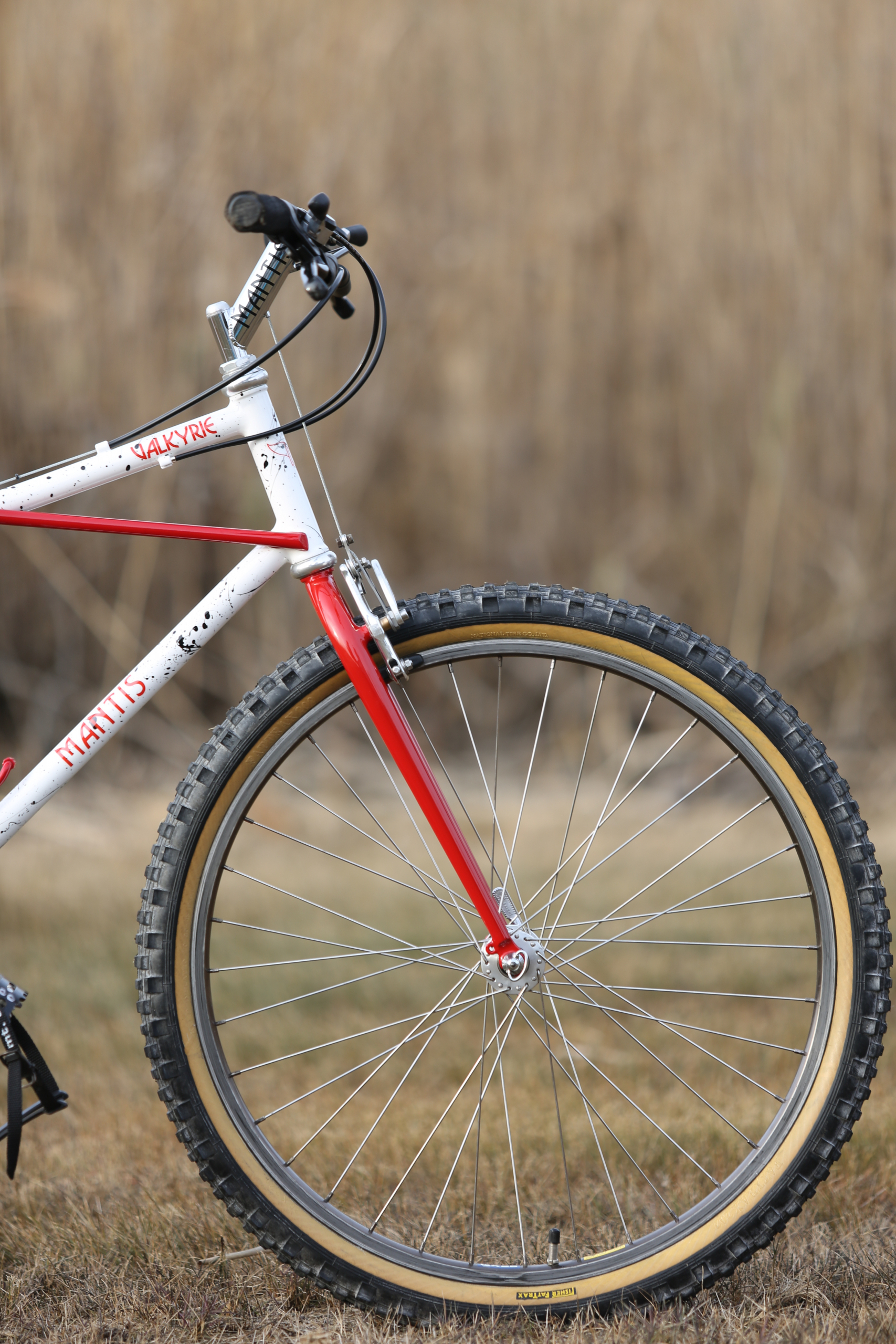 A Second Spin 1987 Mantis X-frame/Valkyrie – Second Spin Cycles | The ...