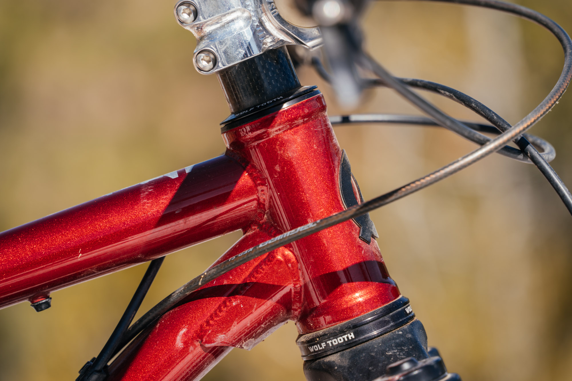 Locke and His Esker Cycles Hayduke Singlespeed 29er – John Watson | The ...