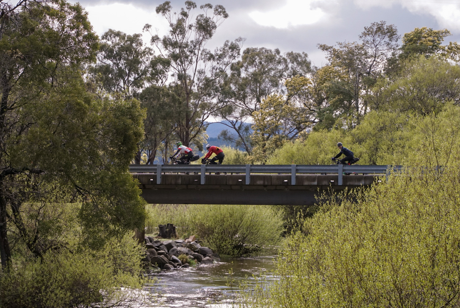 Moksha Patam: Snakes and Ladders – Flashpacking Through the Tasmanian ...