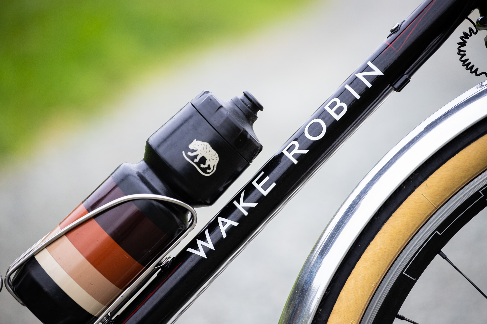 What Butts: Getting Under the Paint with a Wake Robin Cycles Rando Bike ...