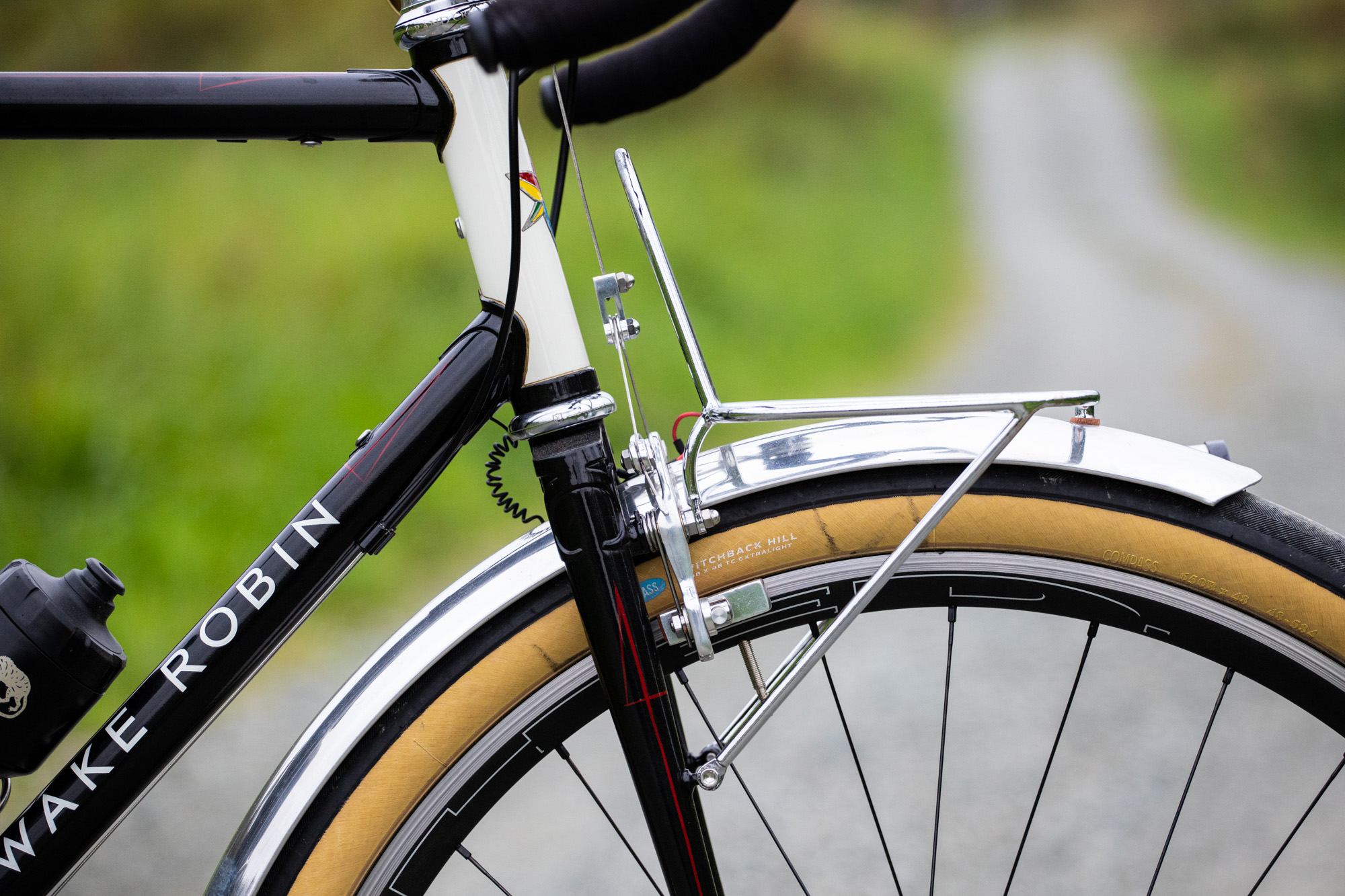 What Butts: Getting Under the Paint with a Wake Robin Cycles Rando Bike ...